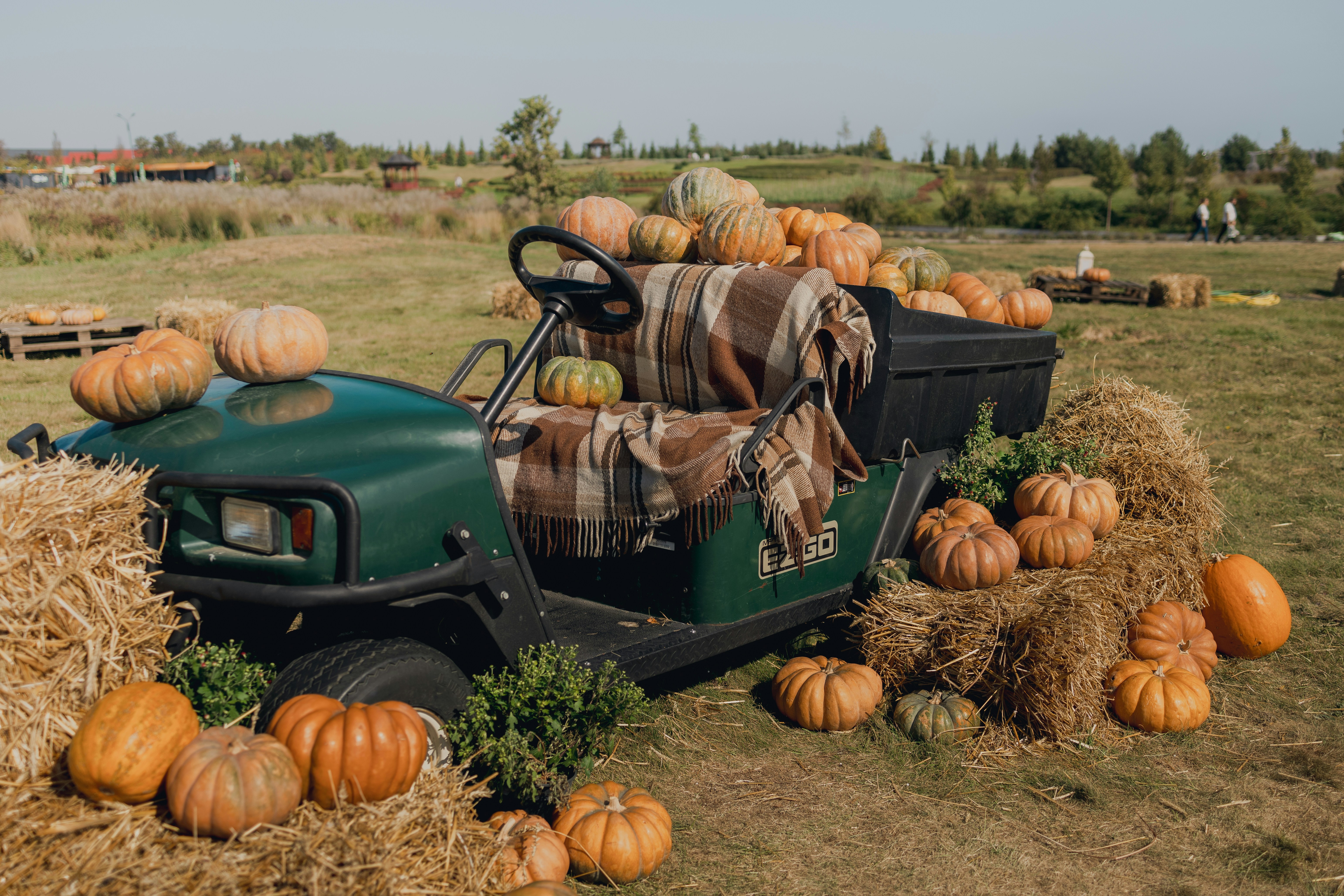 Patina-green Cart and a Sea of Pumpkins: Rustic Harvest on a Sunlit Patch
