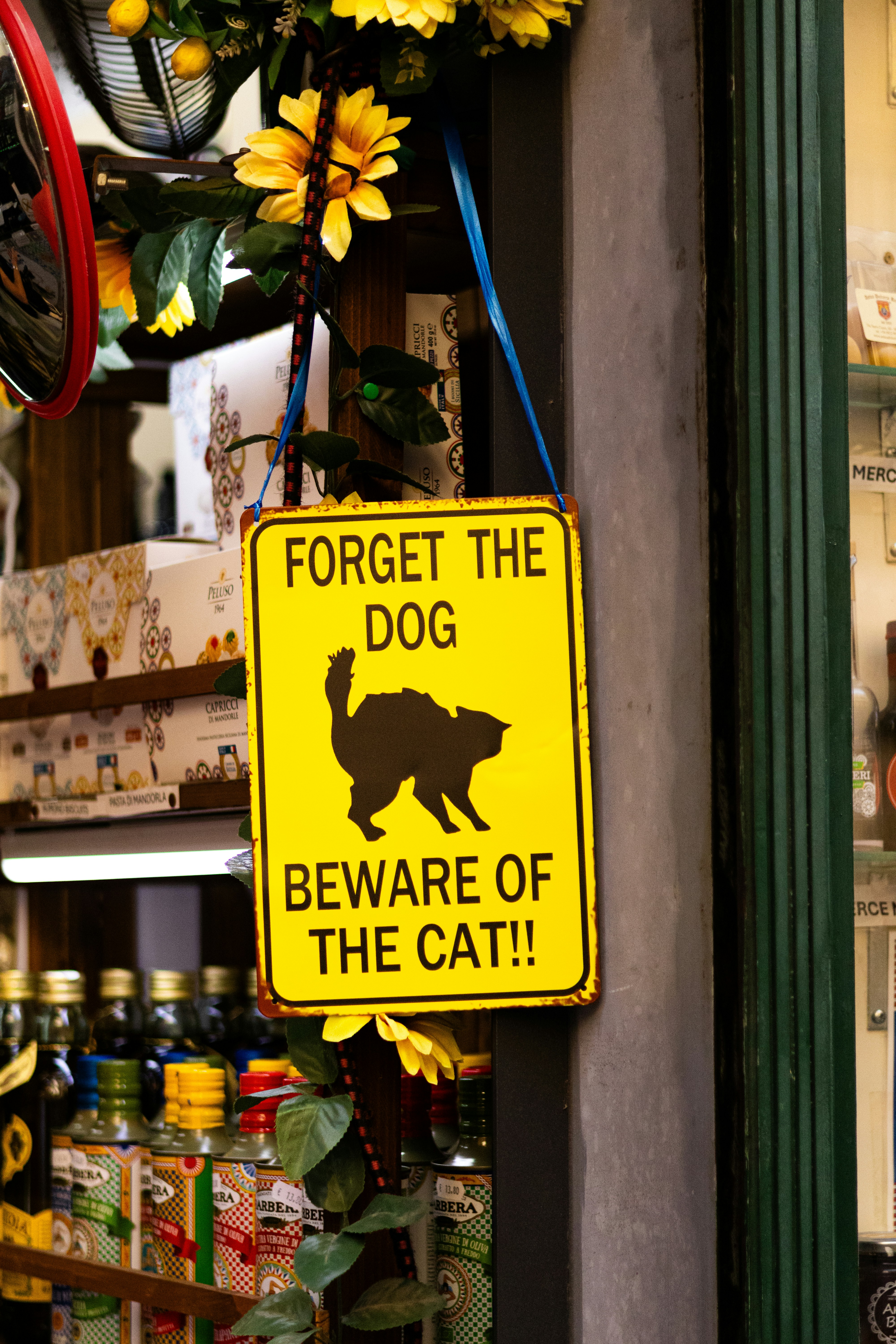 Forget the Dog, Beware the Cat: A Bright Storefront Sign