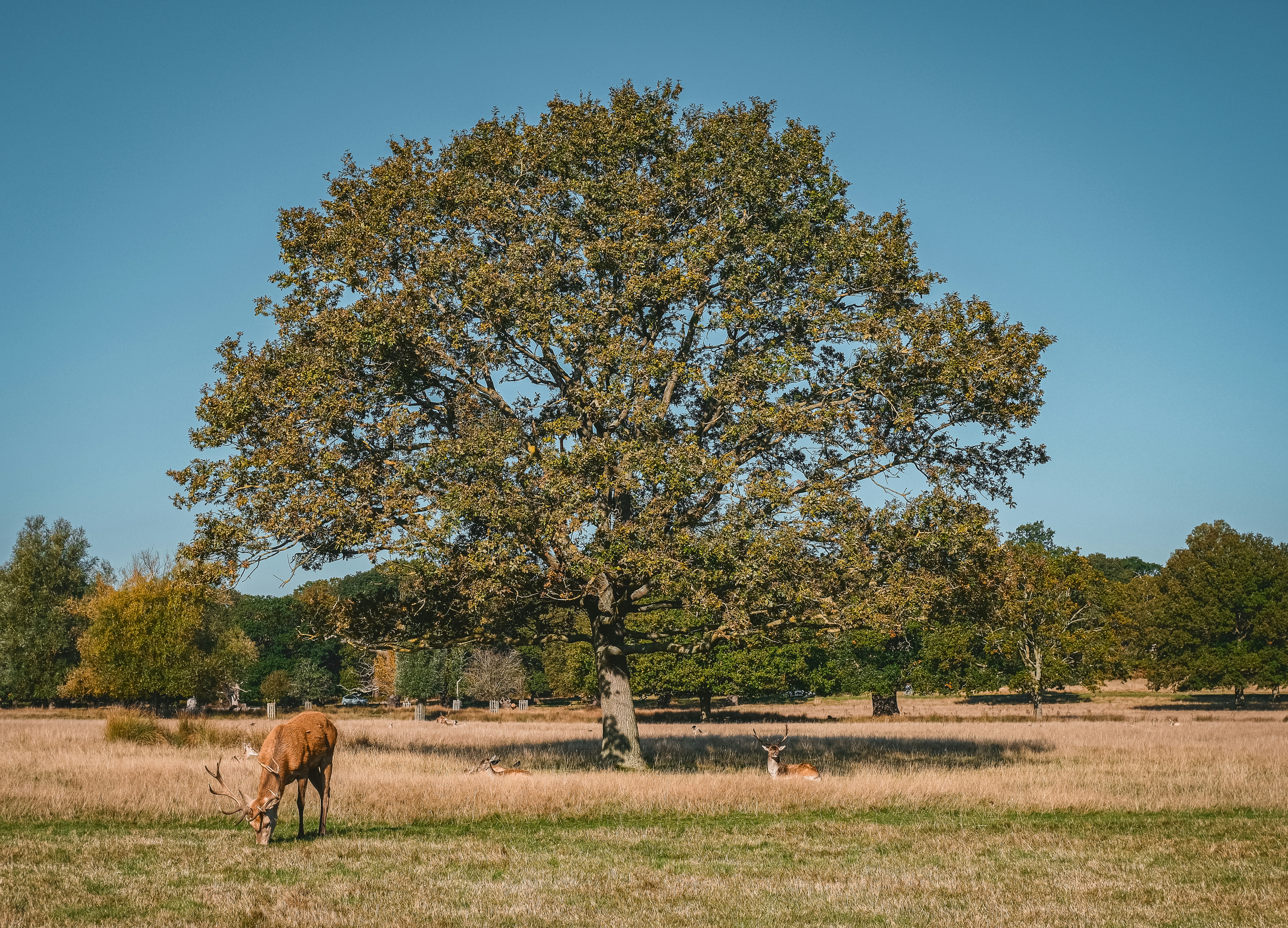 Photo by Elliot Voilmy with Fujifilm X-T30 II
