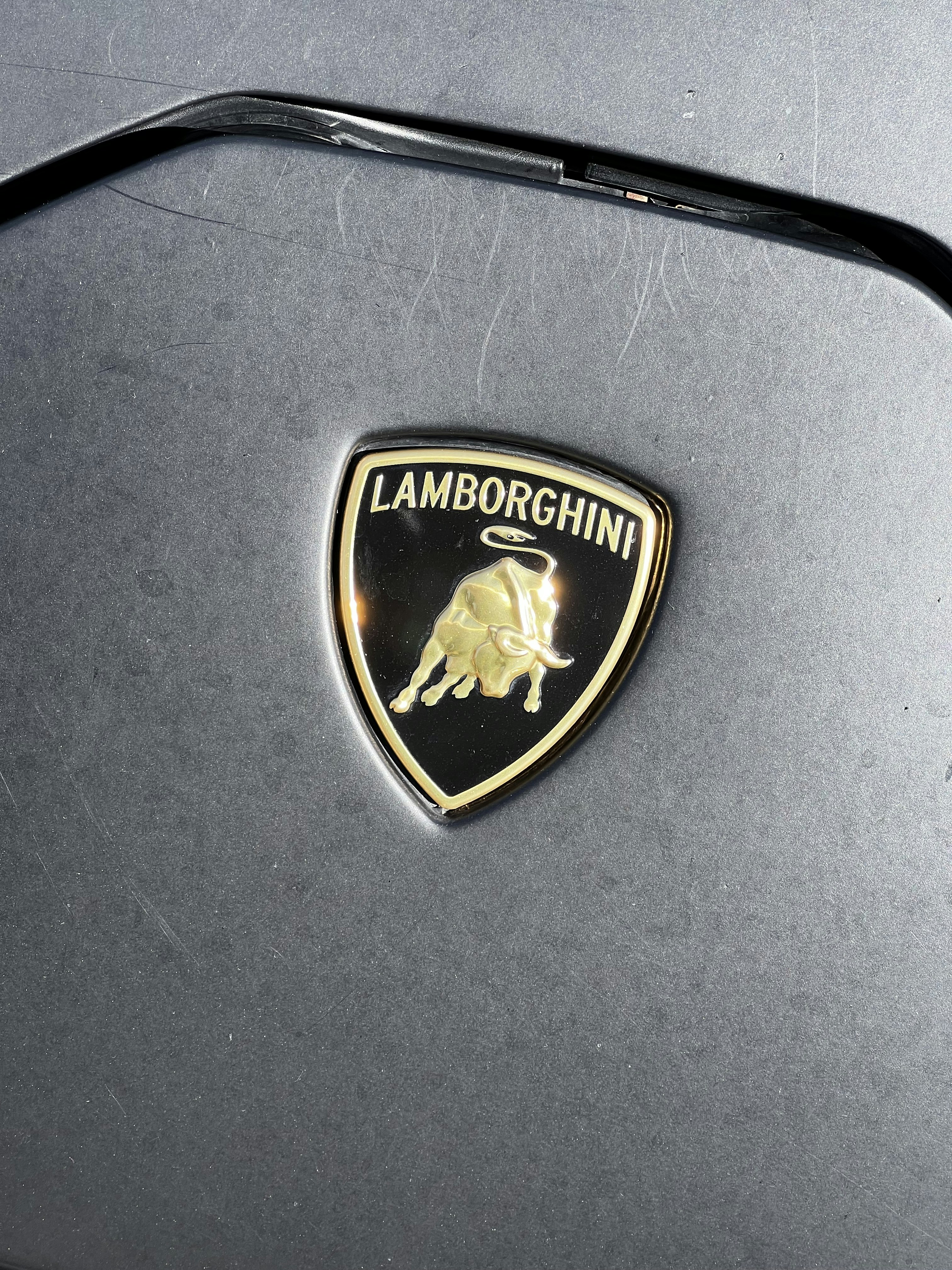 Golden Bull Emblem: A Close-Up of Lamborghini's Shield on a Matte Hood