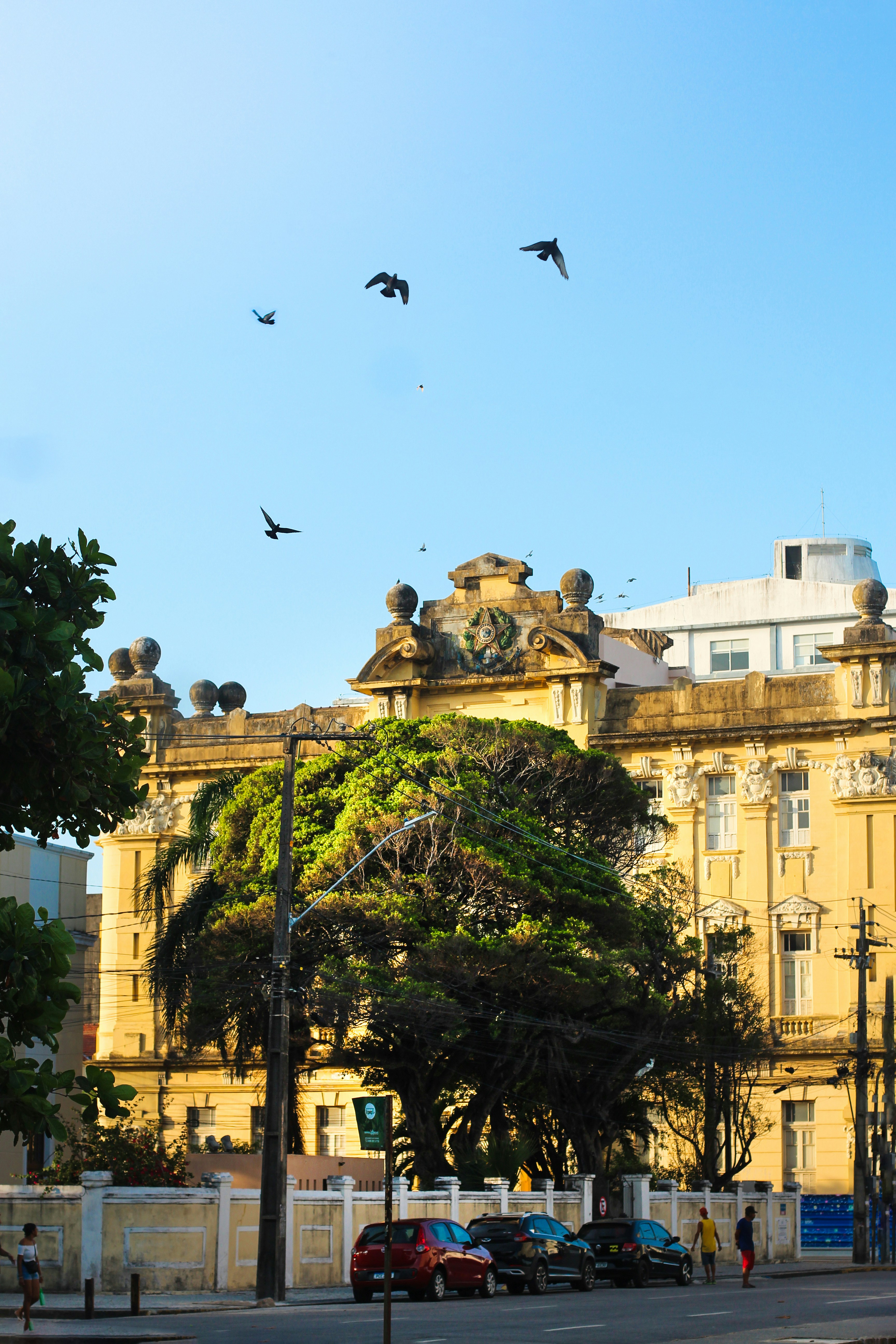Golden Facade Under a Skyful of Birds