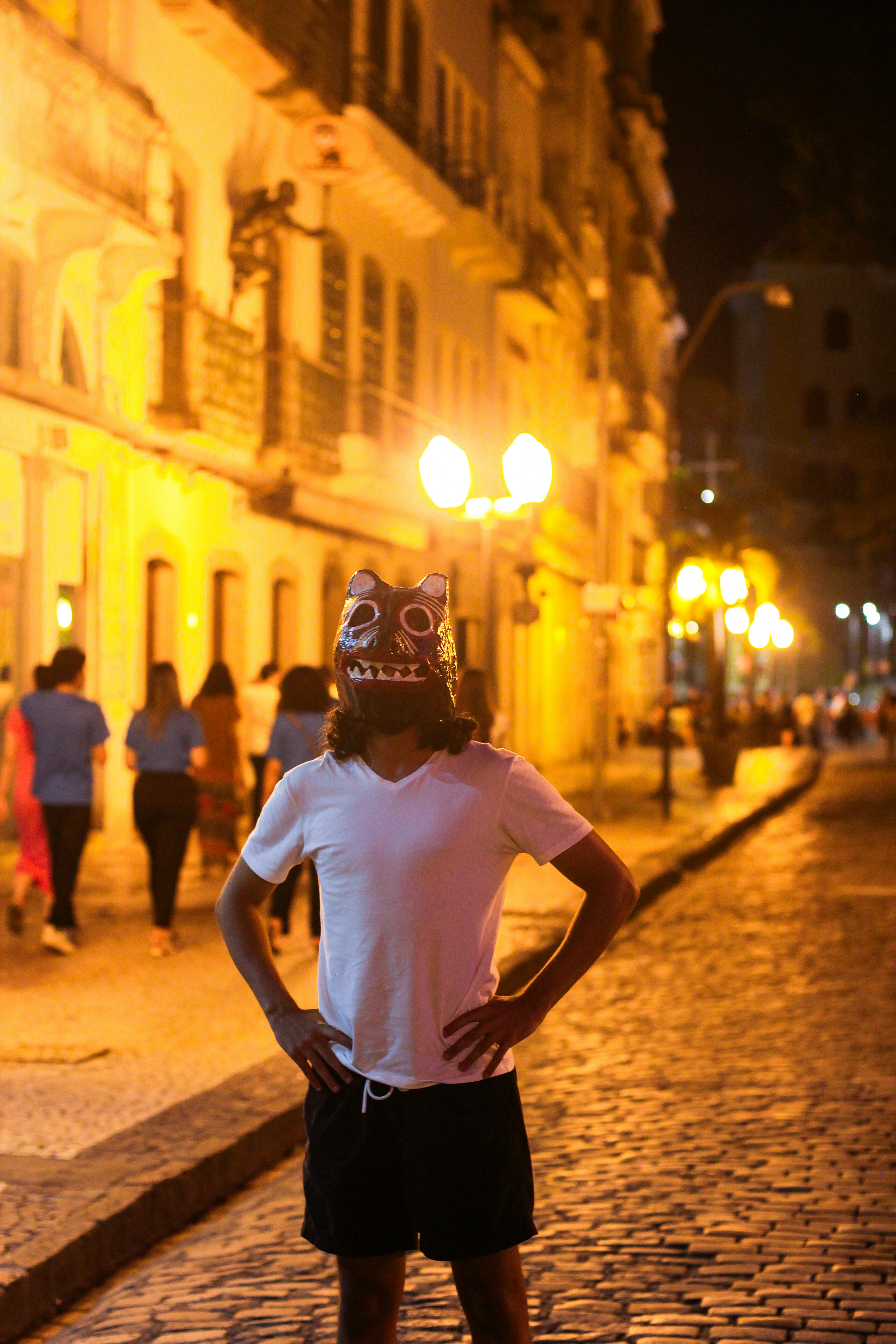 Night Street Portrait: The Masked Wanderer Beneath Lanterns on Cobblestones