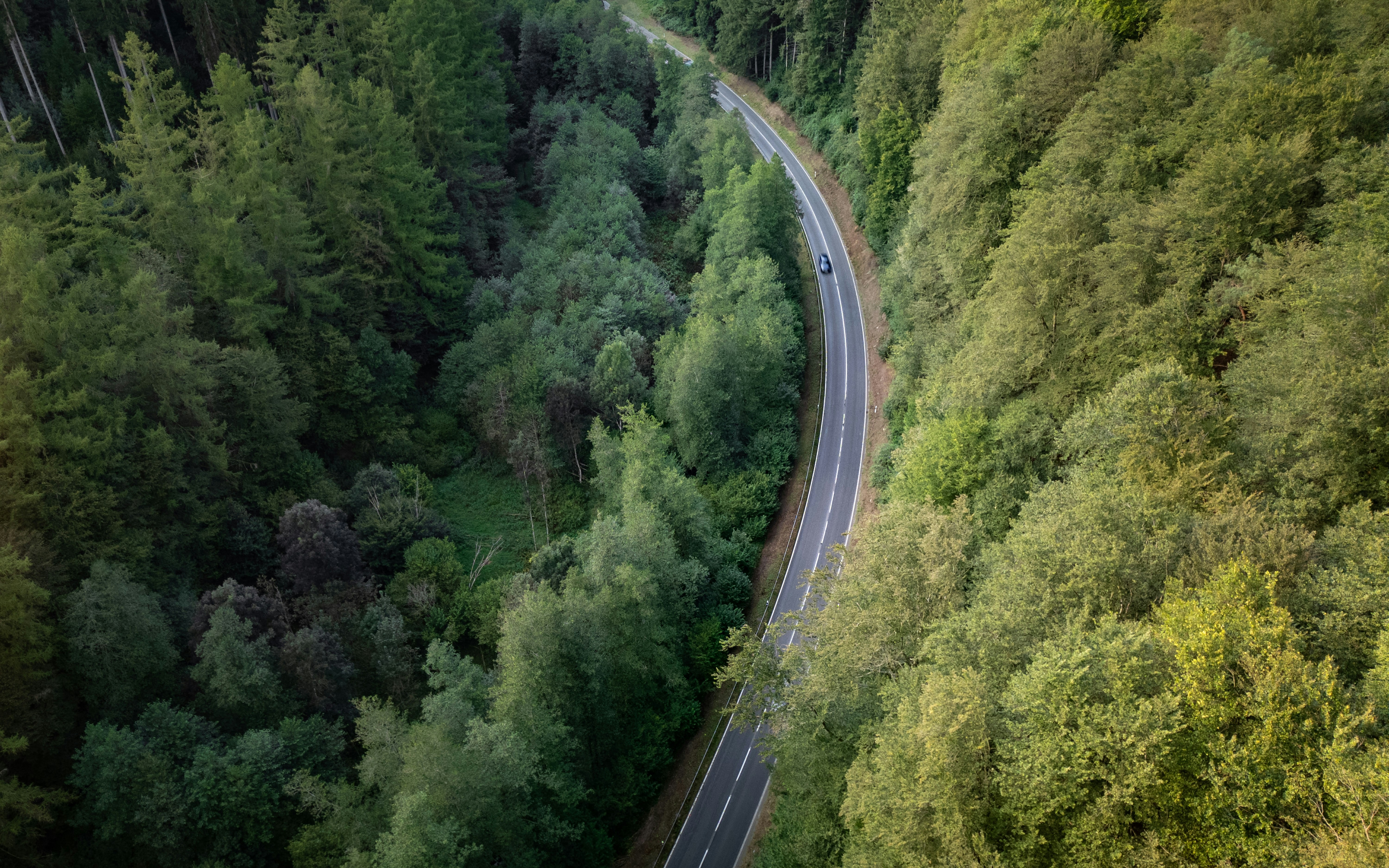 An aerial view of a road surrounded by trees photo – Free Forest Image ...