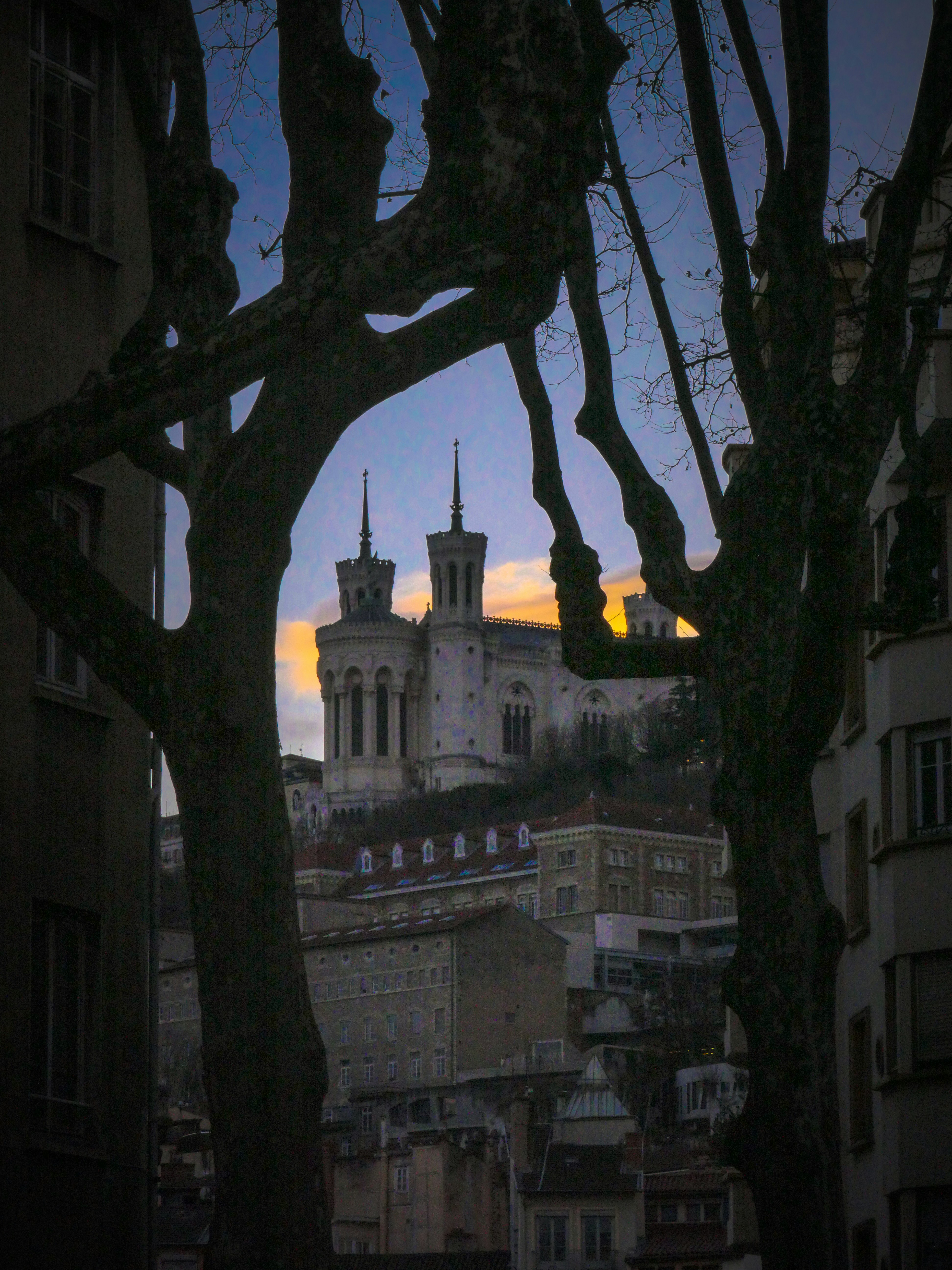 Twilight Framing: A Hilltop Basilica Seen Through Arching Trees