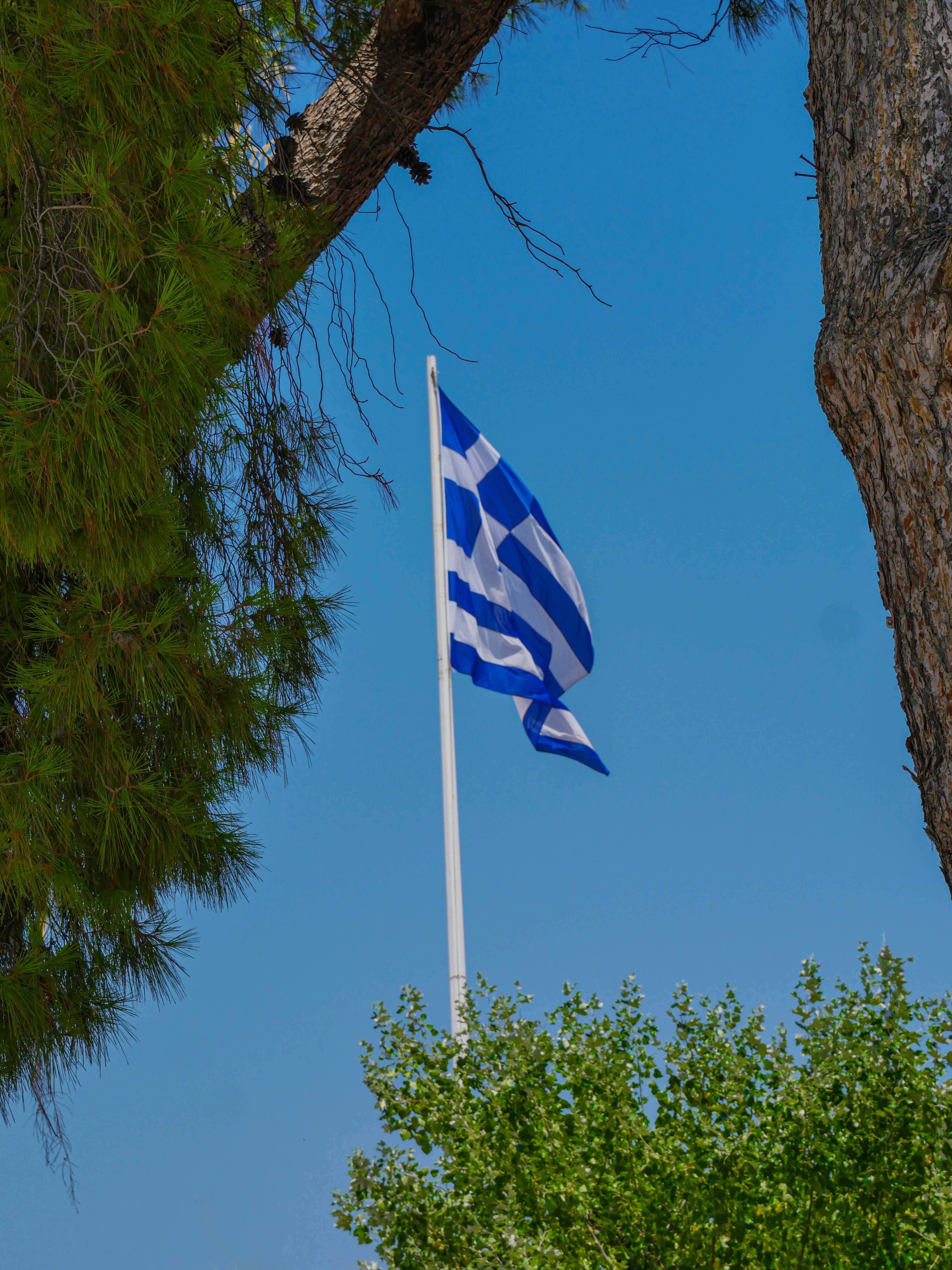 Greece's Blue-and-White Banner Framed by Pines