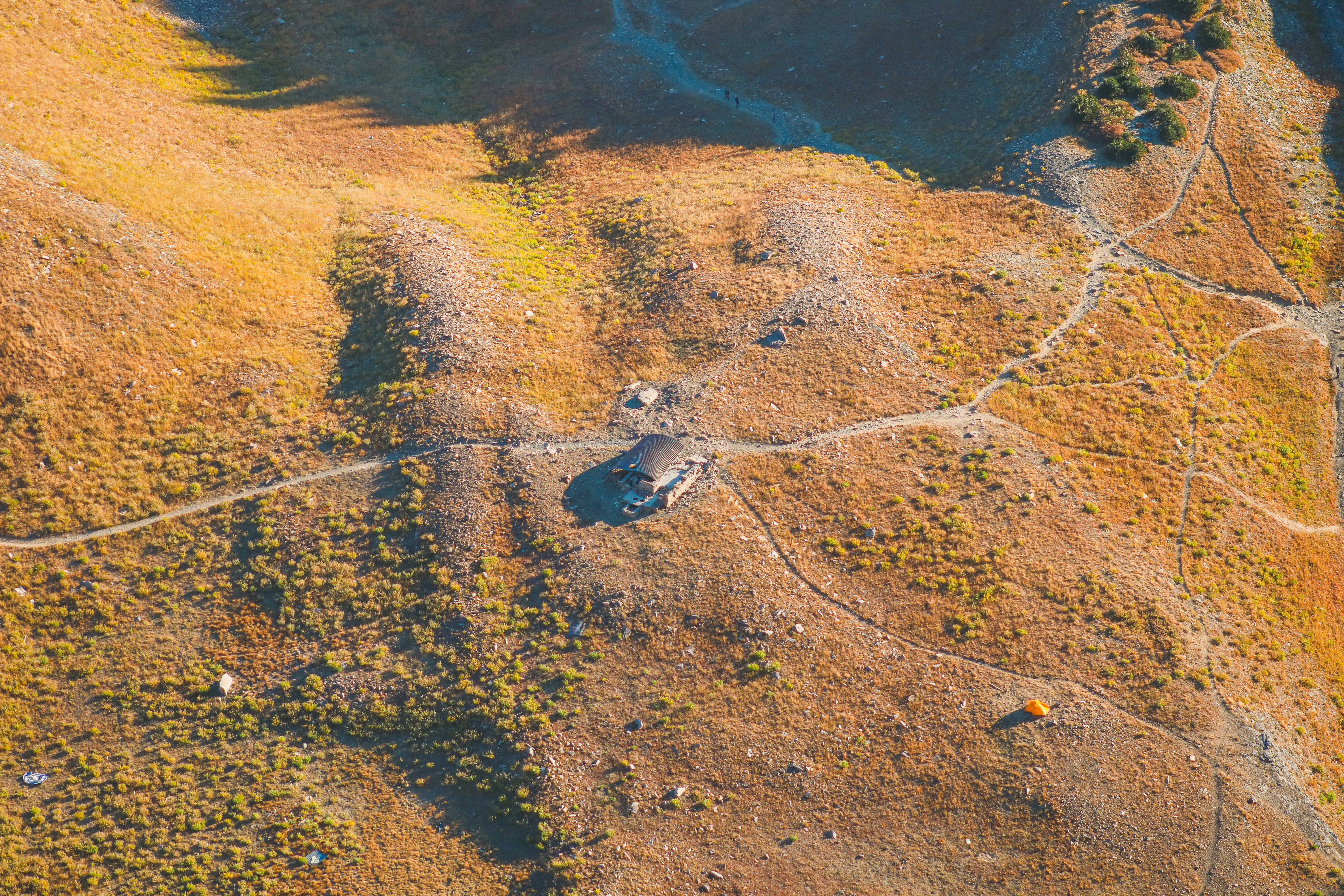 Aerial view of intersecting paths on a golden-brown landscape with scattered foliage and a central structure casting a shadow.