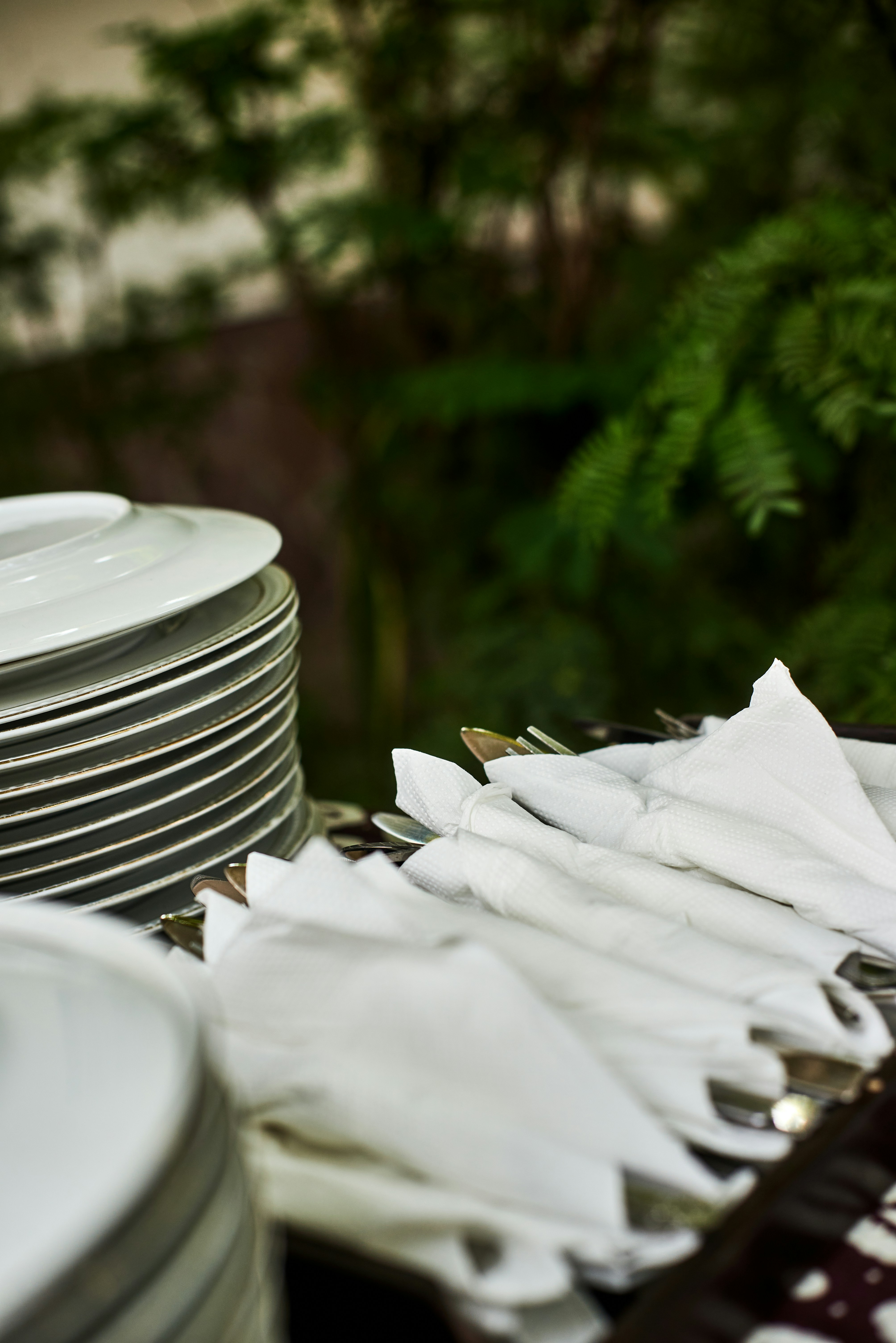 Garden Buffet: Stacks of Porcelain Against a Ferny Backdrop
