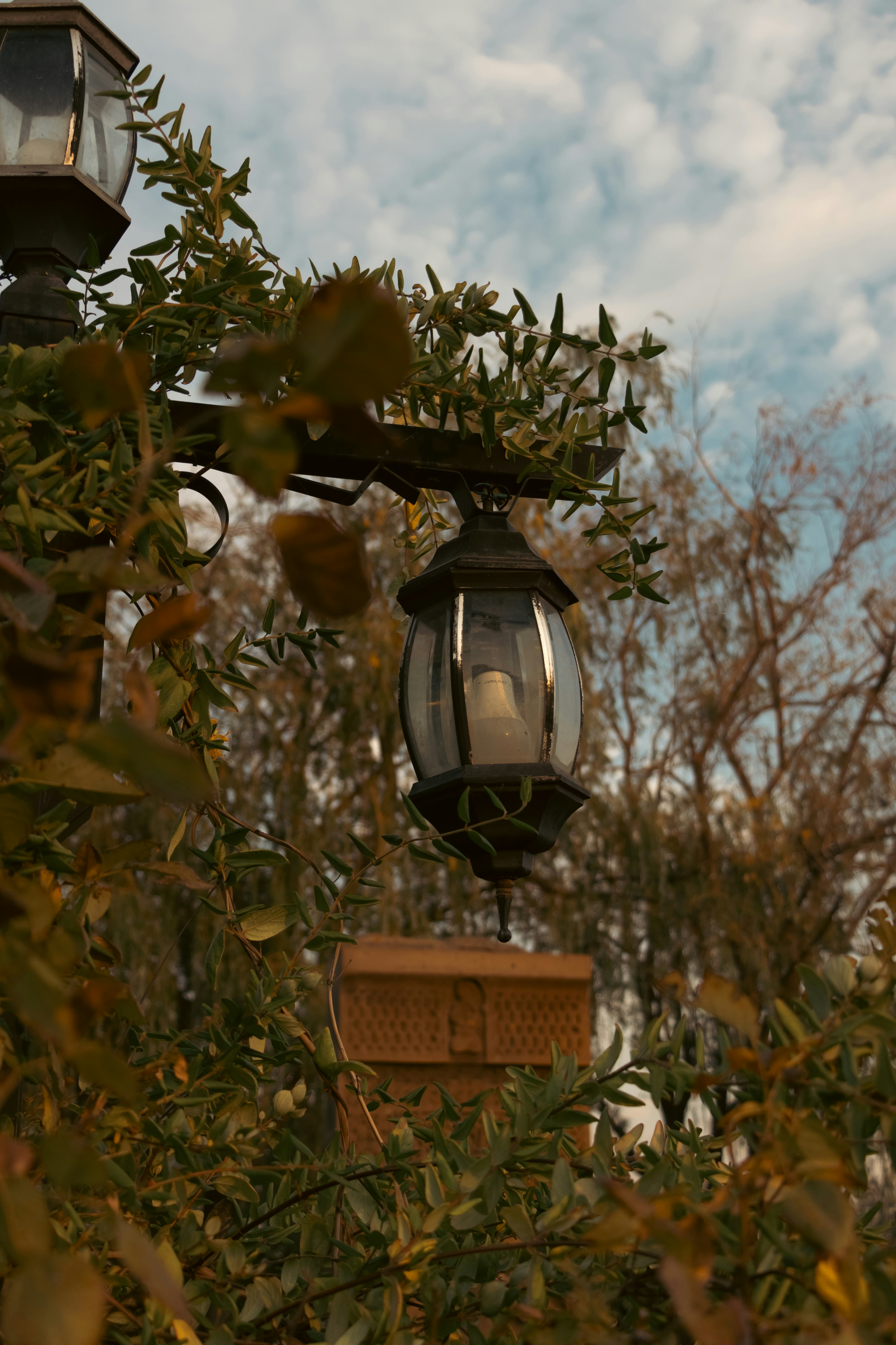 Ivy-Framed Lantern in a Quiet Garden at Dusk