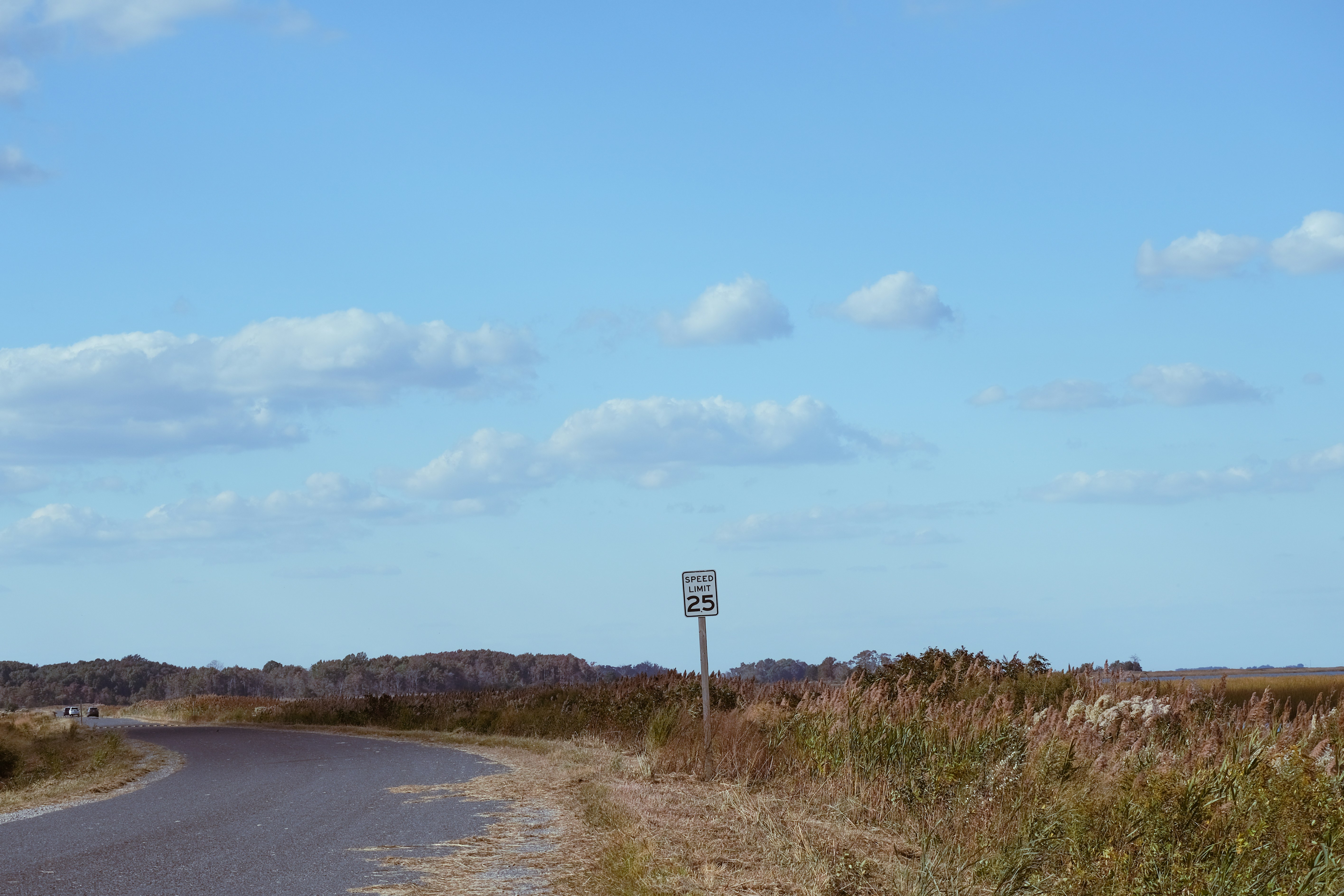A street sign on the side of a road photo – Free Road Image on Unsplash