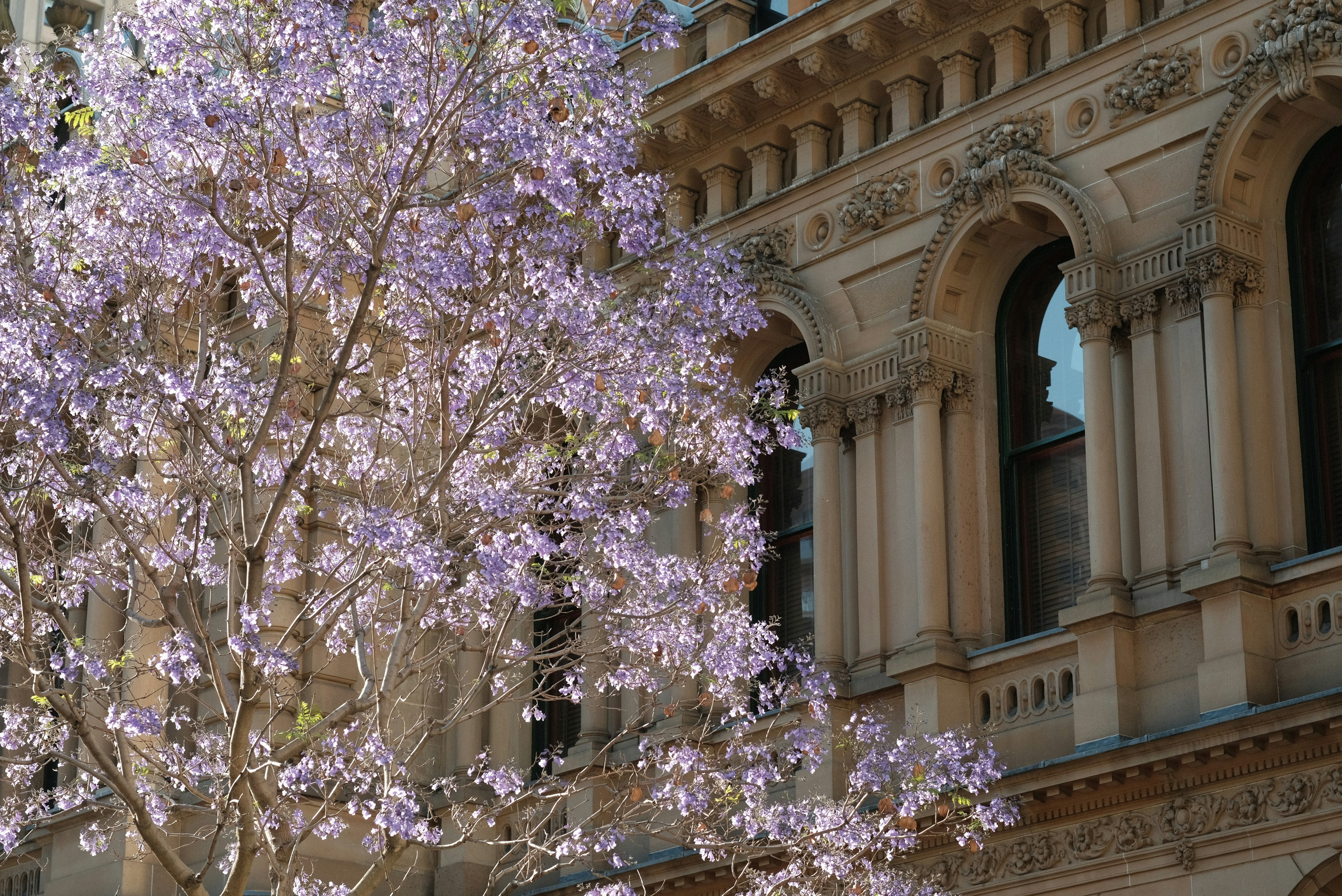 Photo by Dominic Kurniawan Suryaputra with Fujifilm X-T2