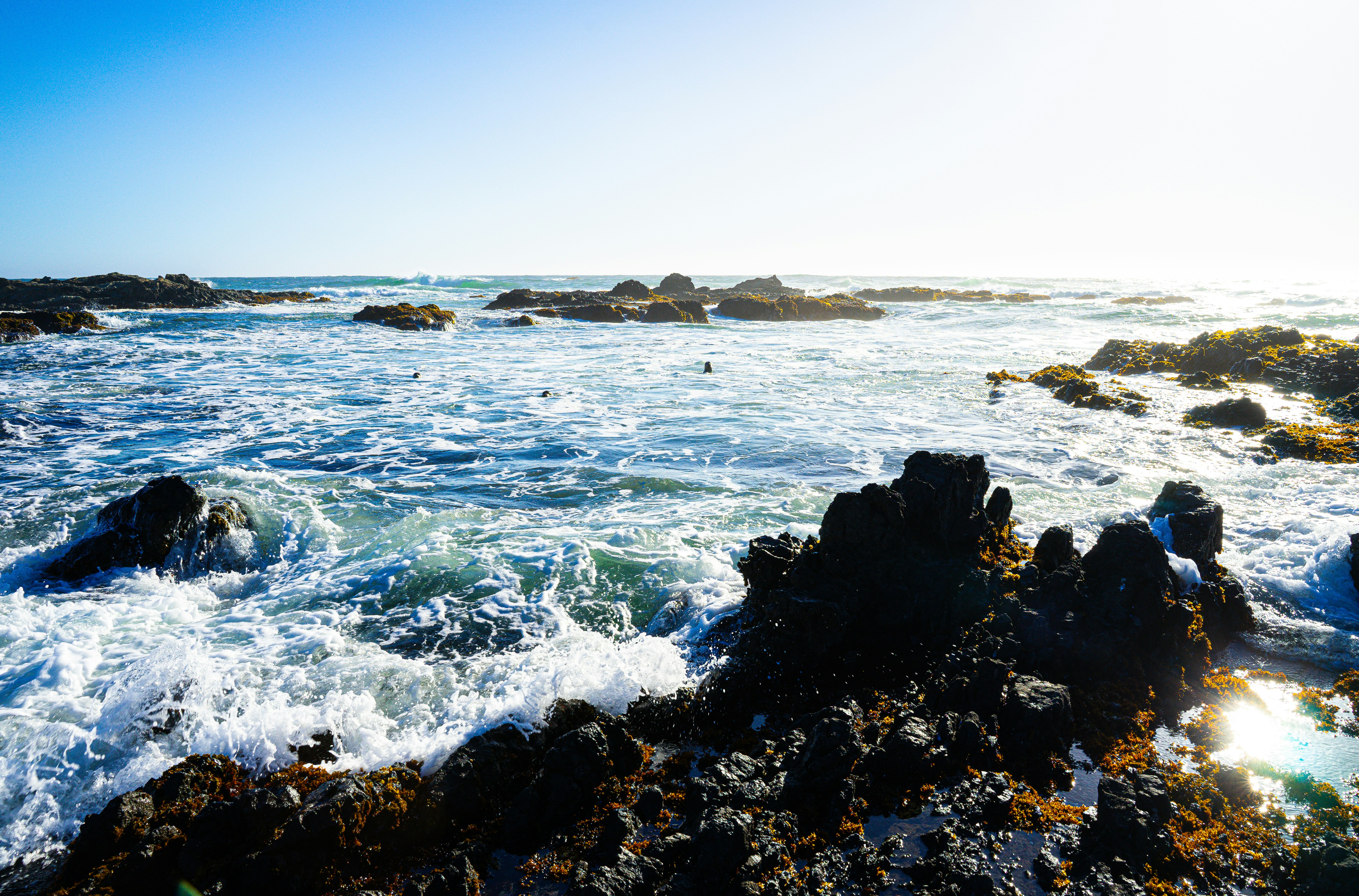 A view of the ocean from a rocky shore photo – Free Beach Image on Unsplash