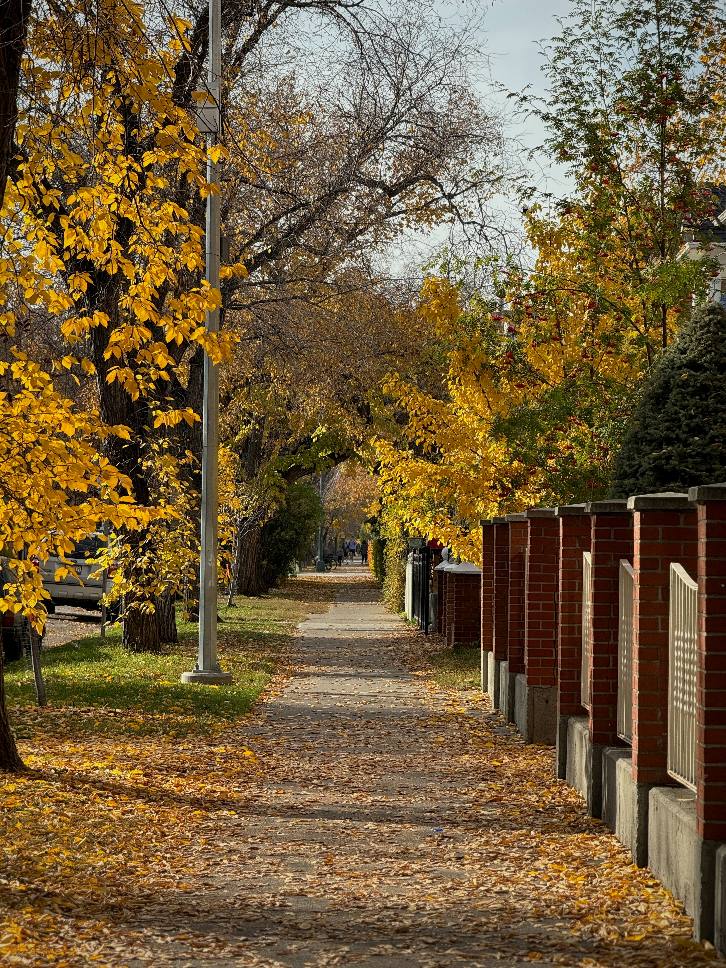 Photo by Nataliia Kvitovska with Apple iPhone 15 Pro Max