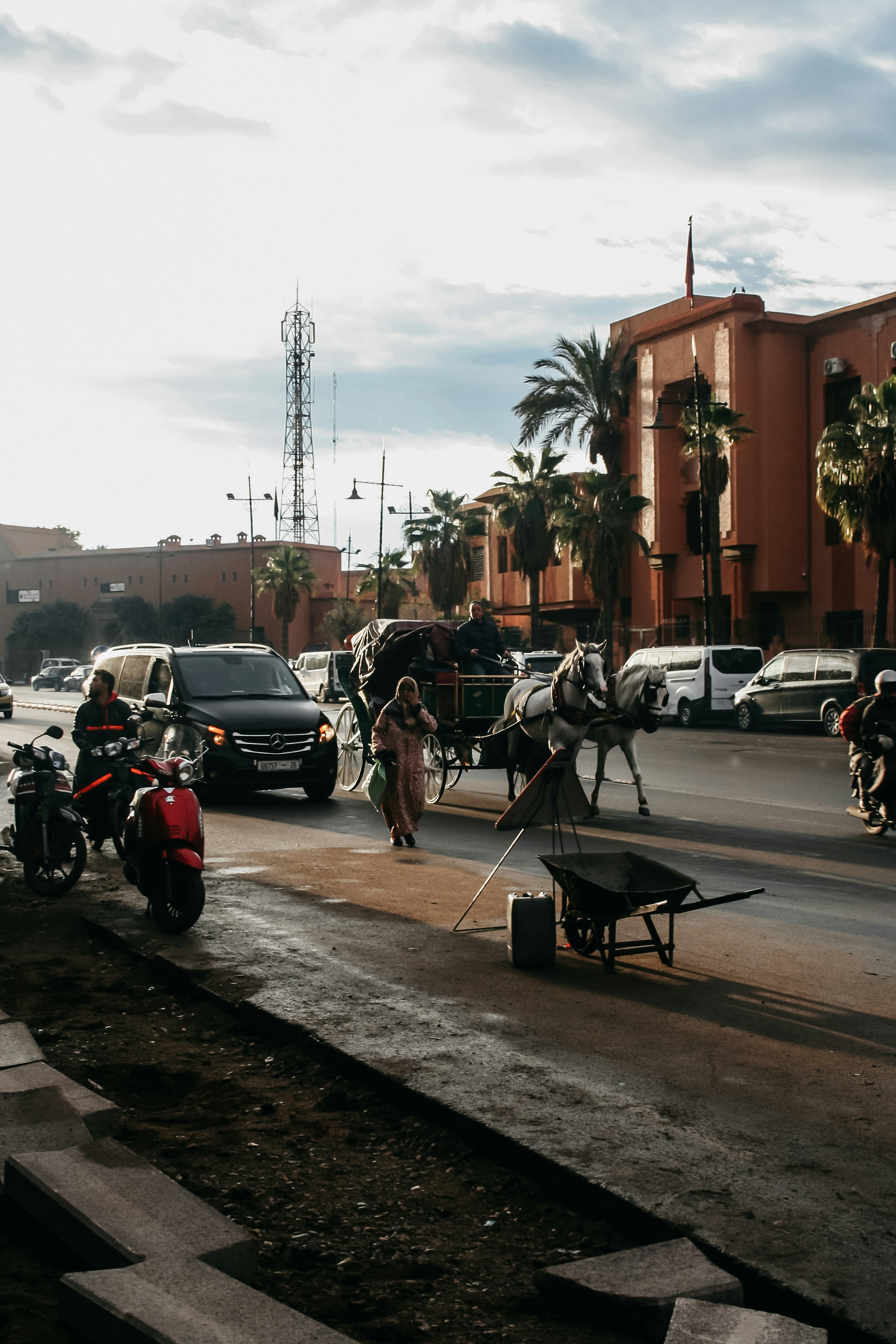 Equine Carriage at the Palm-Lined Crossroads