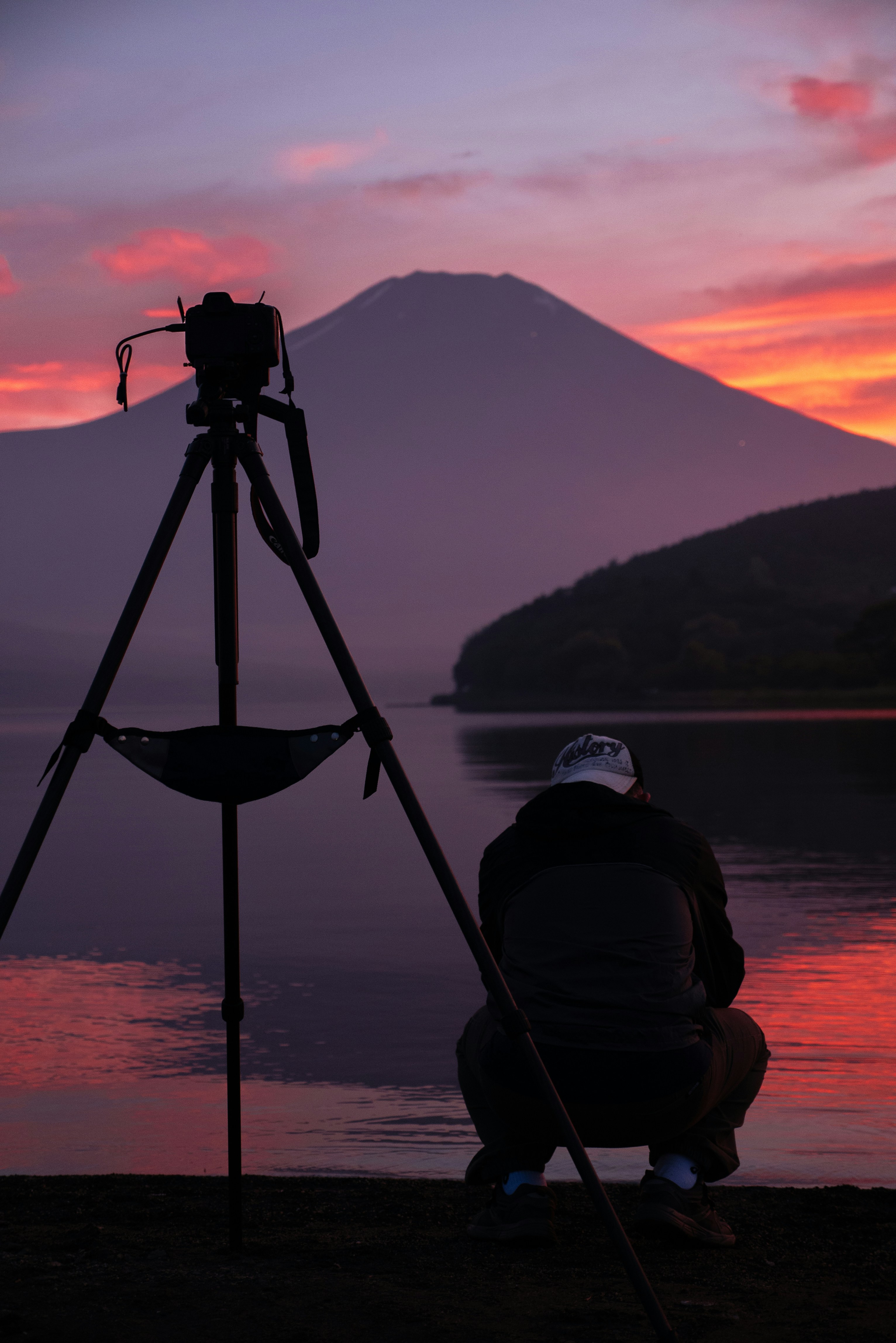 Silent Vigil: The Art of Capturing Nature's Palette