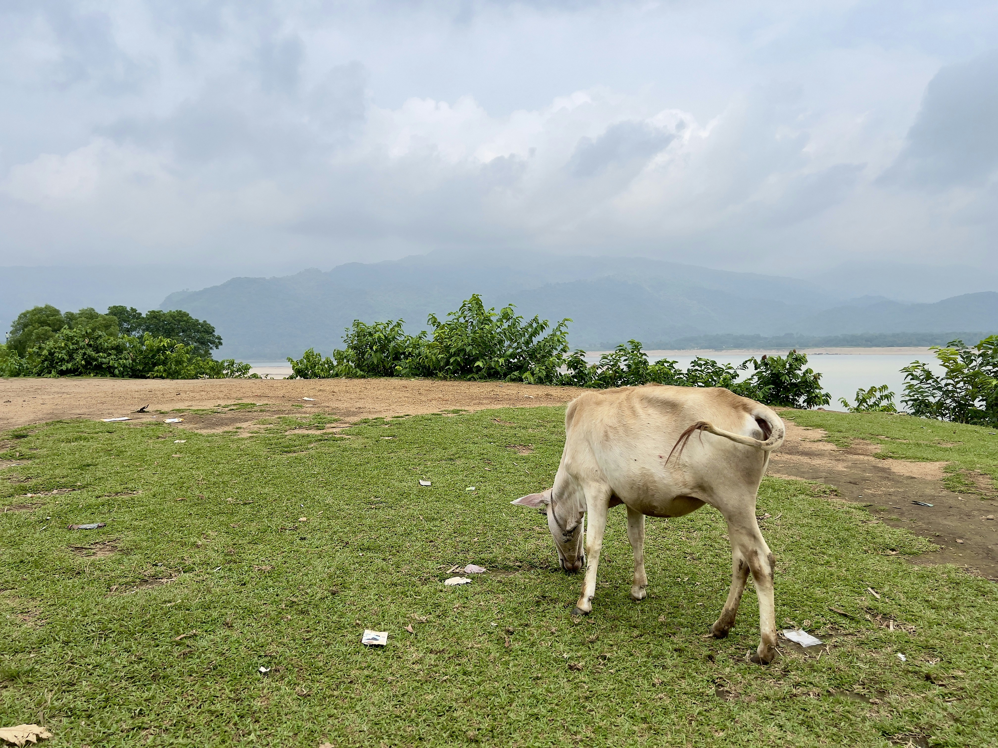 Abdullah AL IMRAN (@aalimran07) | Unsplash 사진 커뮤니티