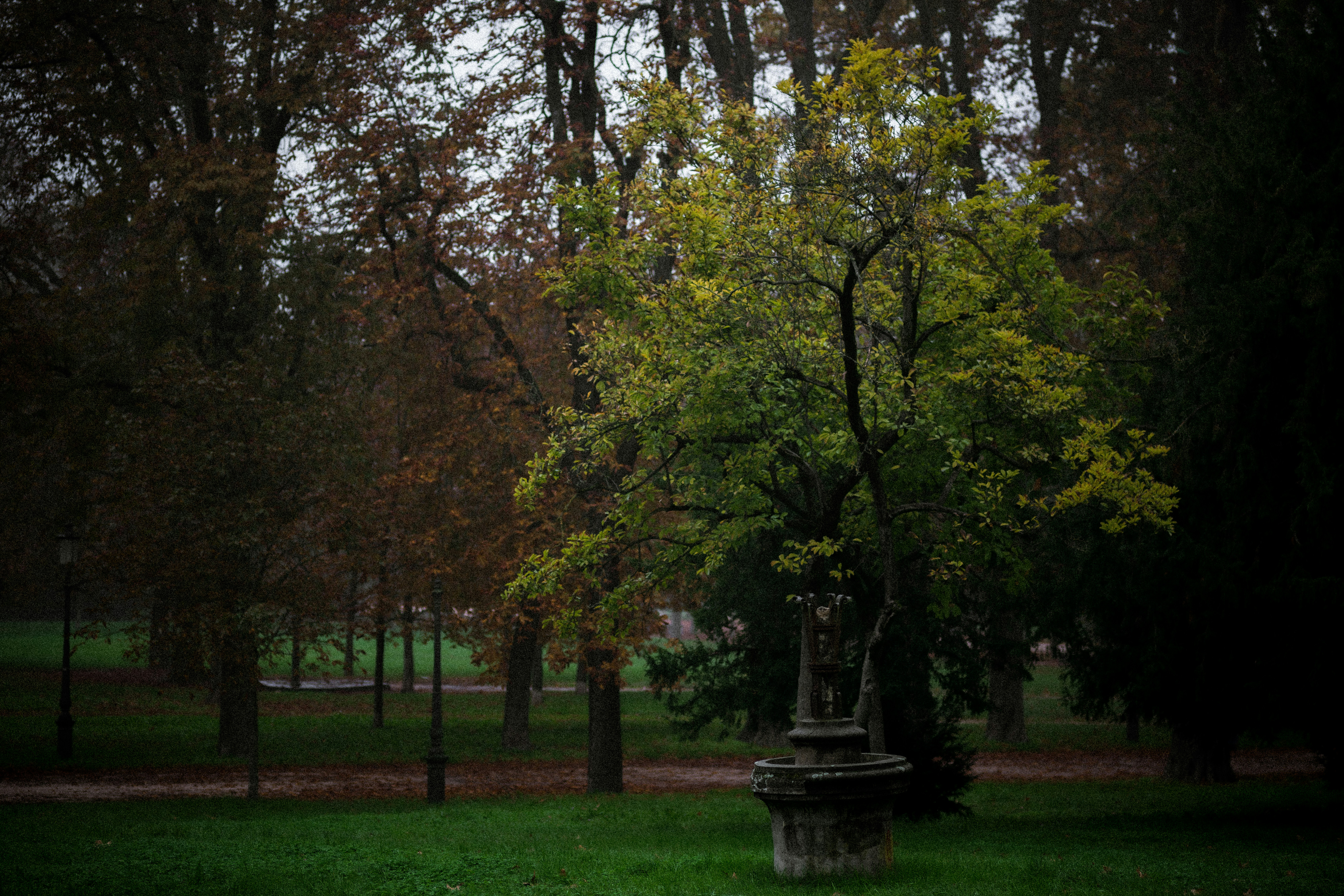 Lonely stone fountain under a tree with yellowing leaves in a quiet, wooded park.