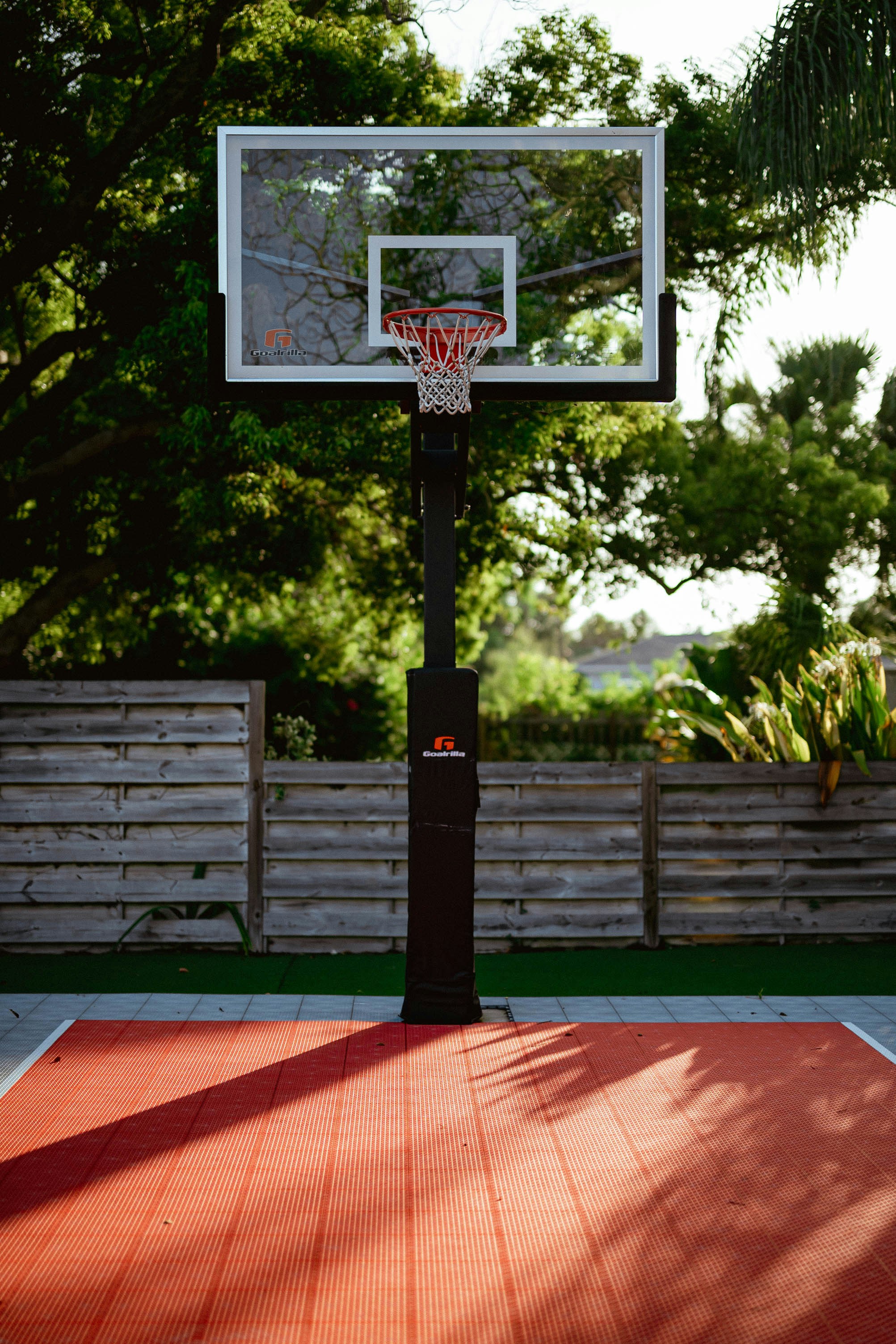 Backyard Hoop in Dappled Light: A Quiet Moment on the Court