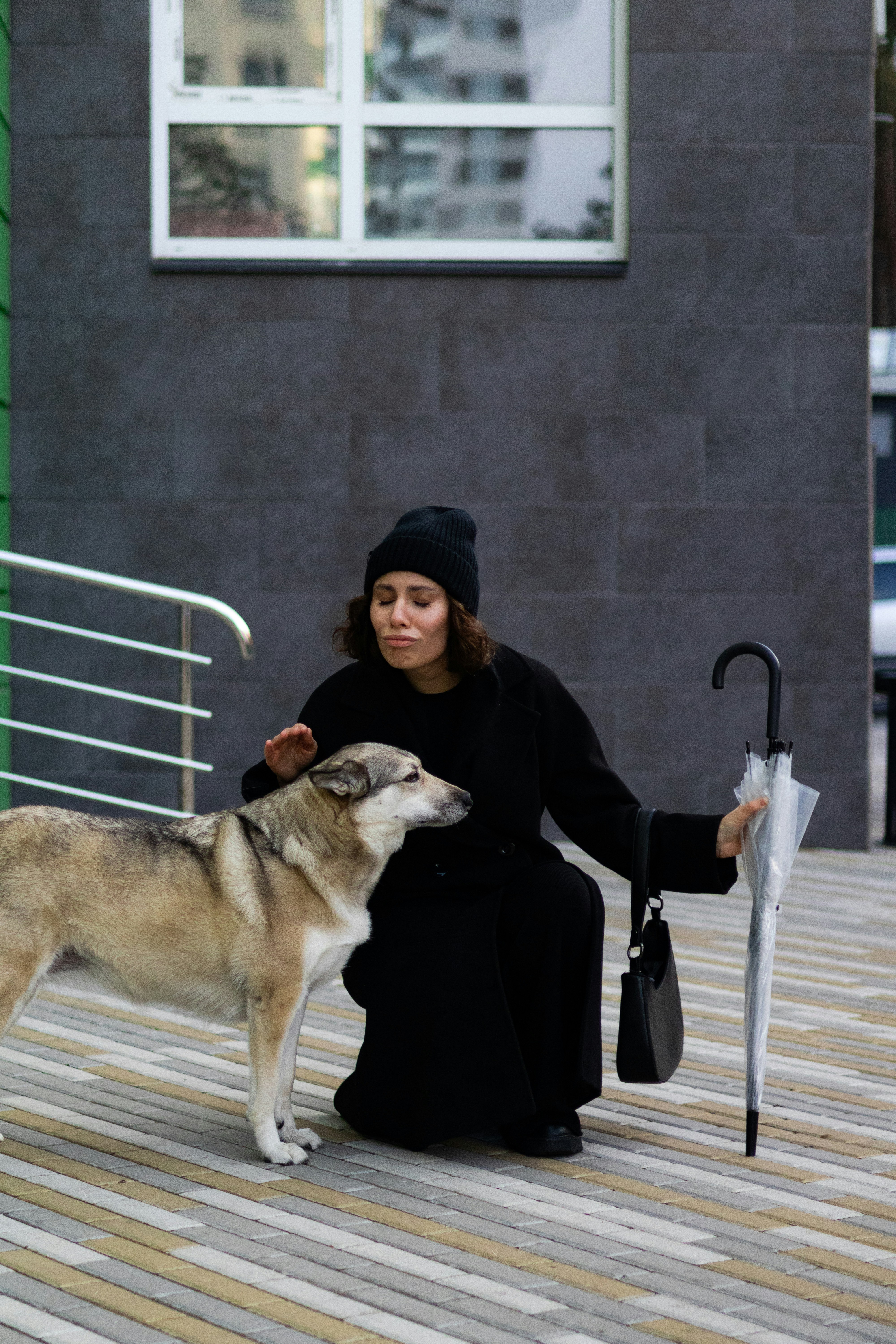 A Quiet Moment: Woman and Dog on a City Plinth
