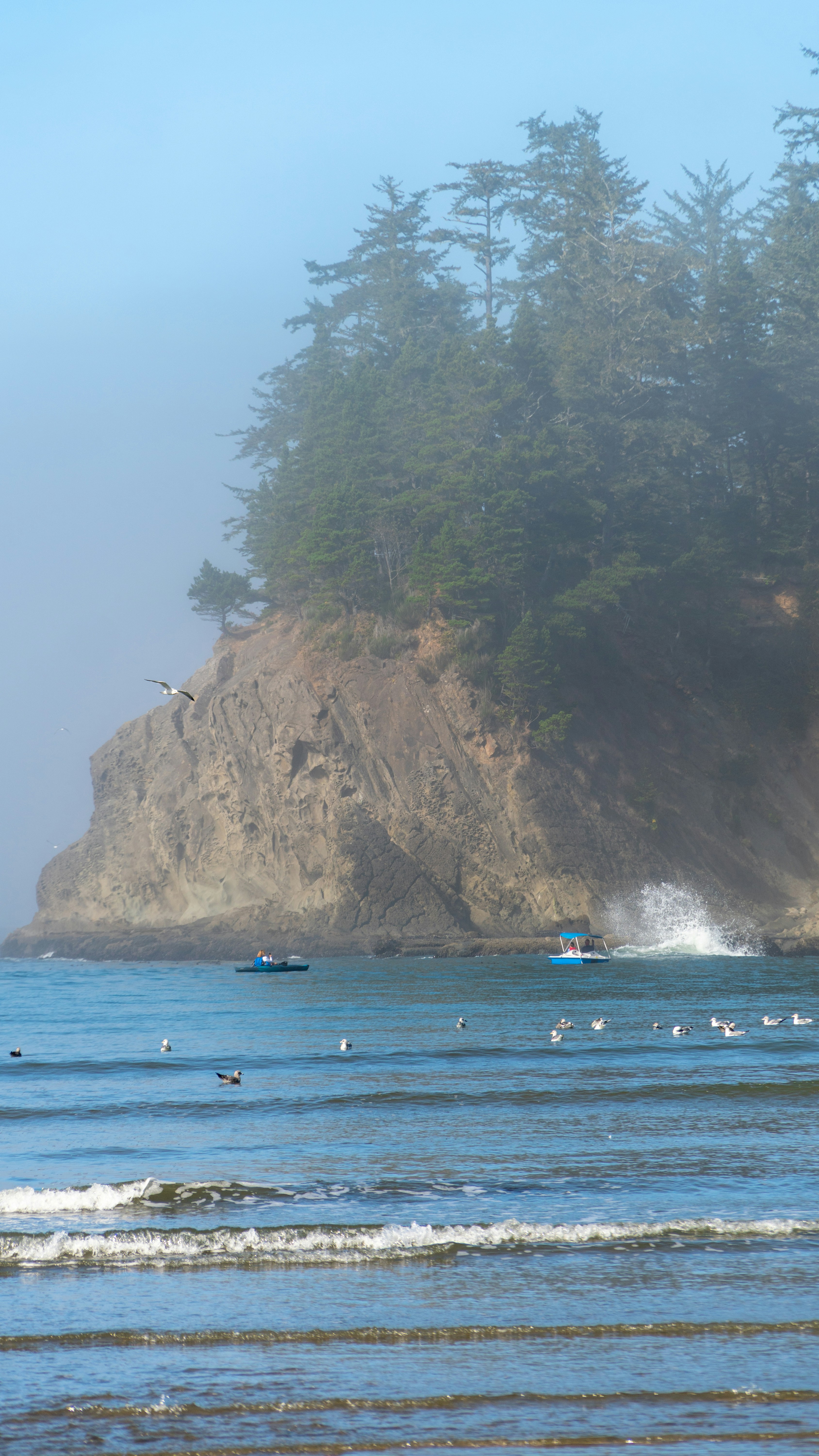 Mist-Kissed Cliffs and a Seabird in Flight