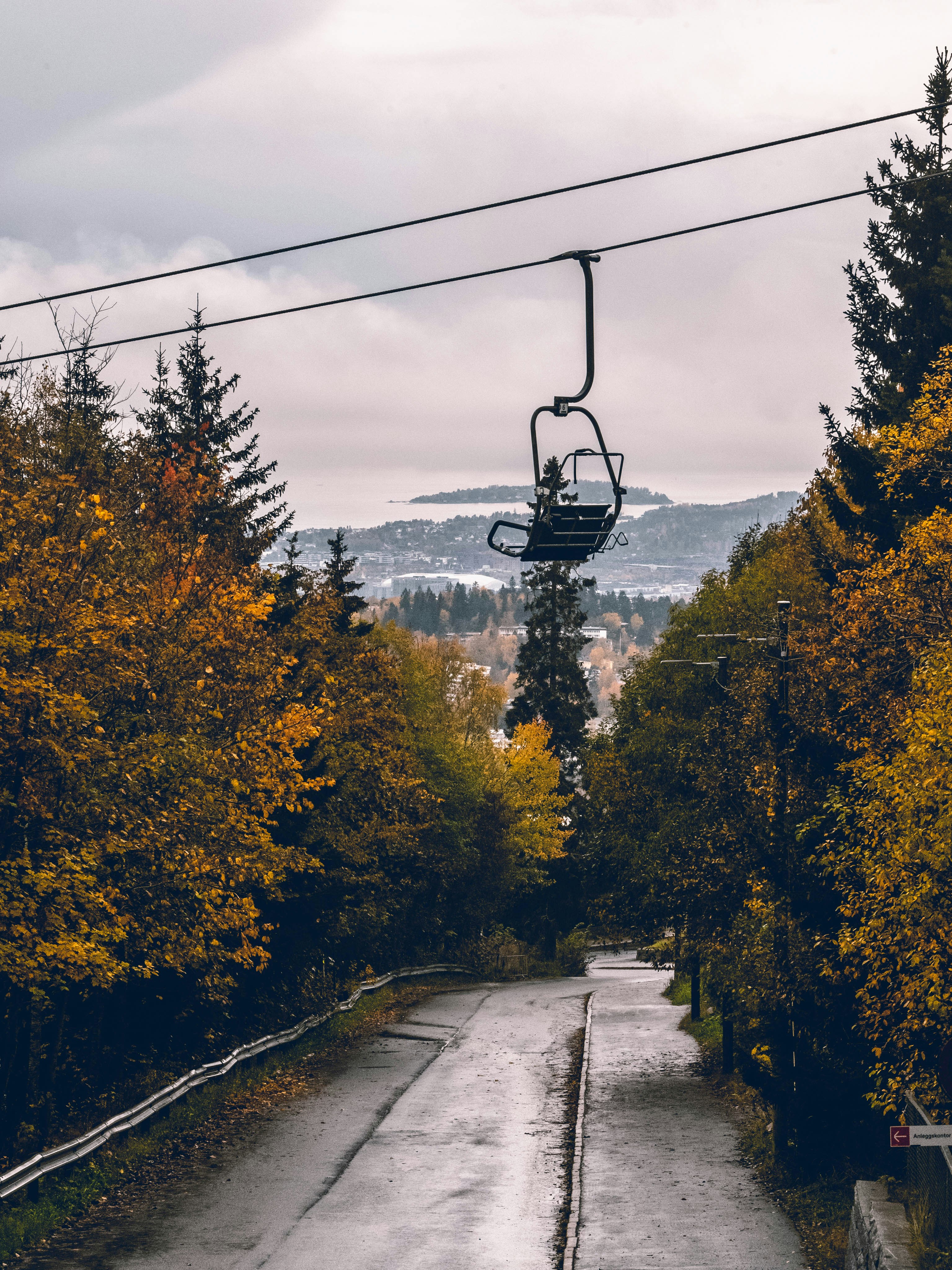 Autumn Lift: A Cable Car Glide Over a Golden Forest