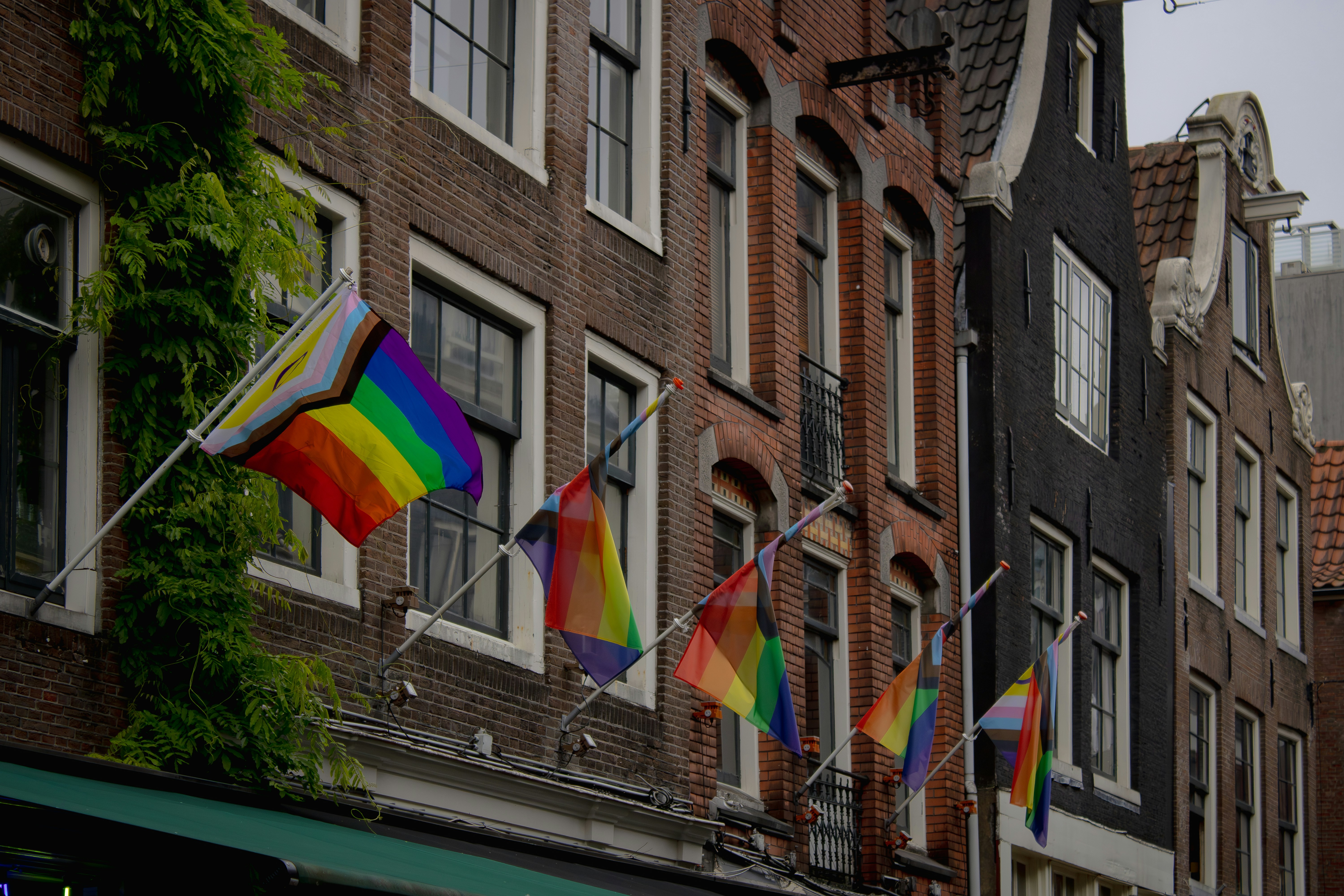 Rainbow Flags Draped Along a Brick Facade: Pride on a City Street