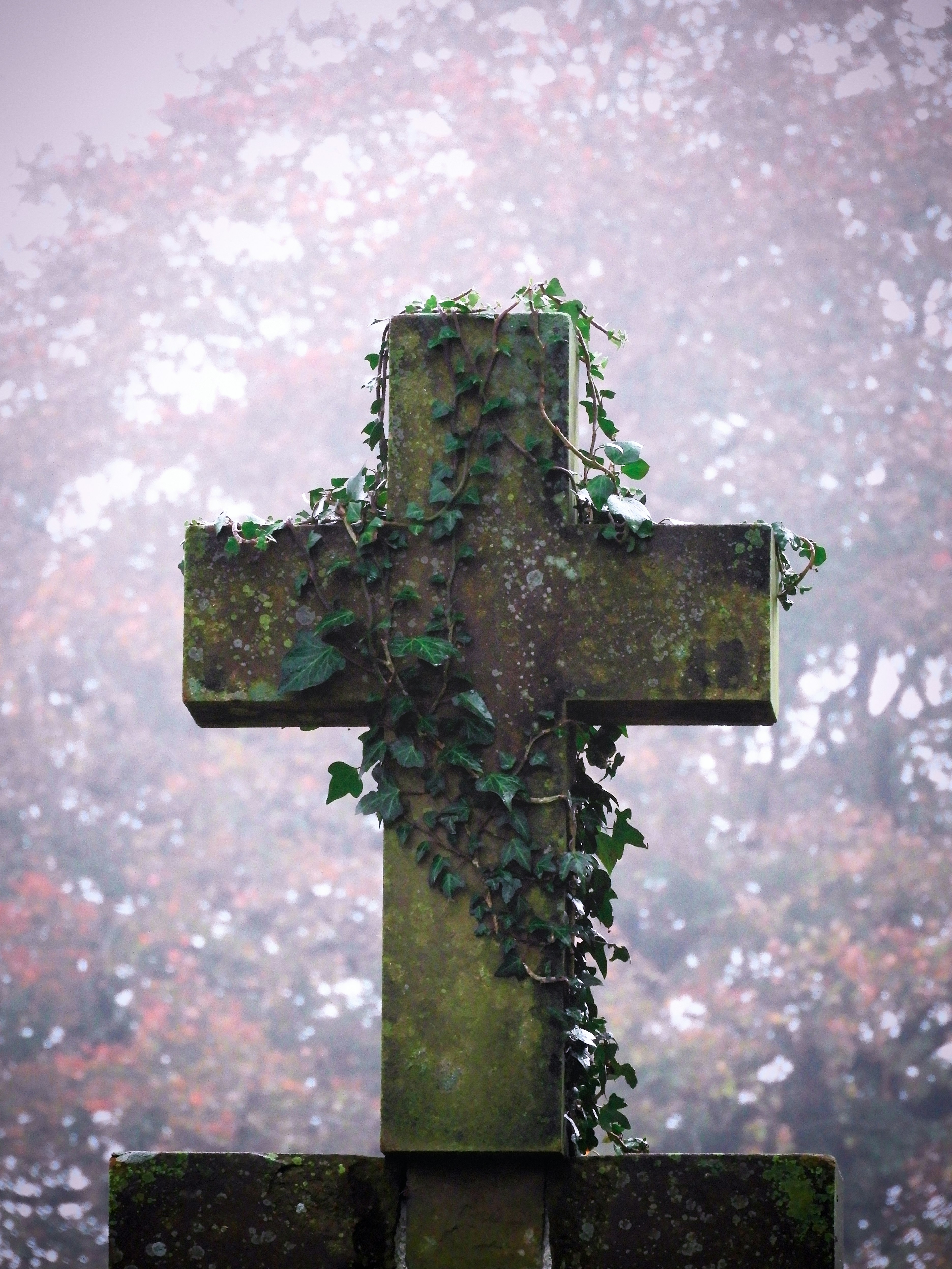 A large Latin cross gravestone with crawling vines wrapping around. In a British cemetery in Staffordshire, England.