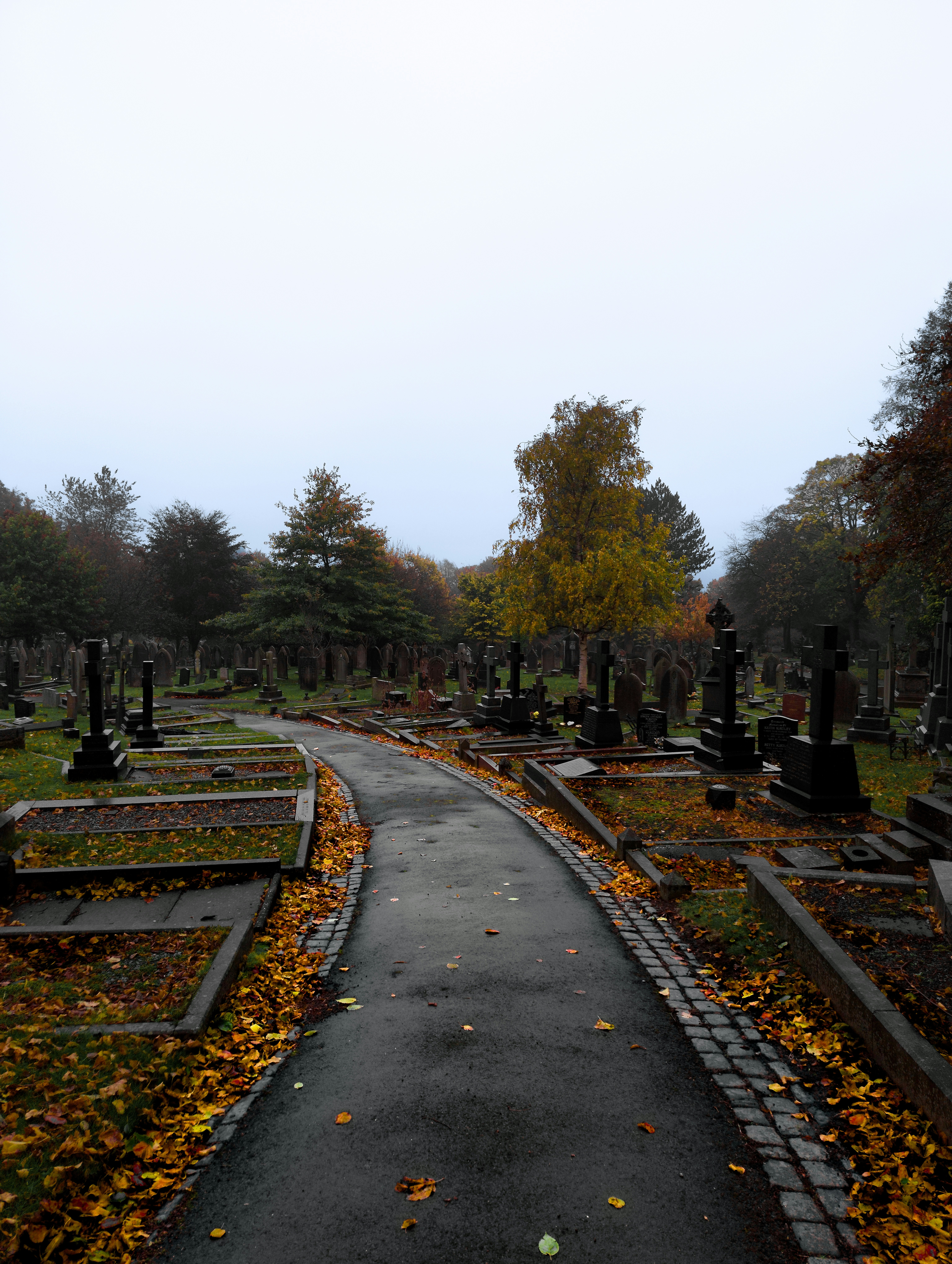 Black cemented pathway in a British cemetery in England with many fallen leaves in bright autumn colours. | A cemetery with lots of tombstones and trees