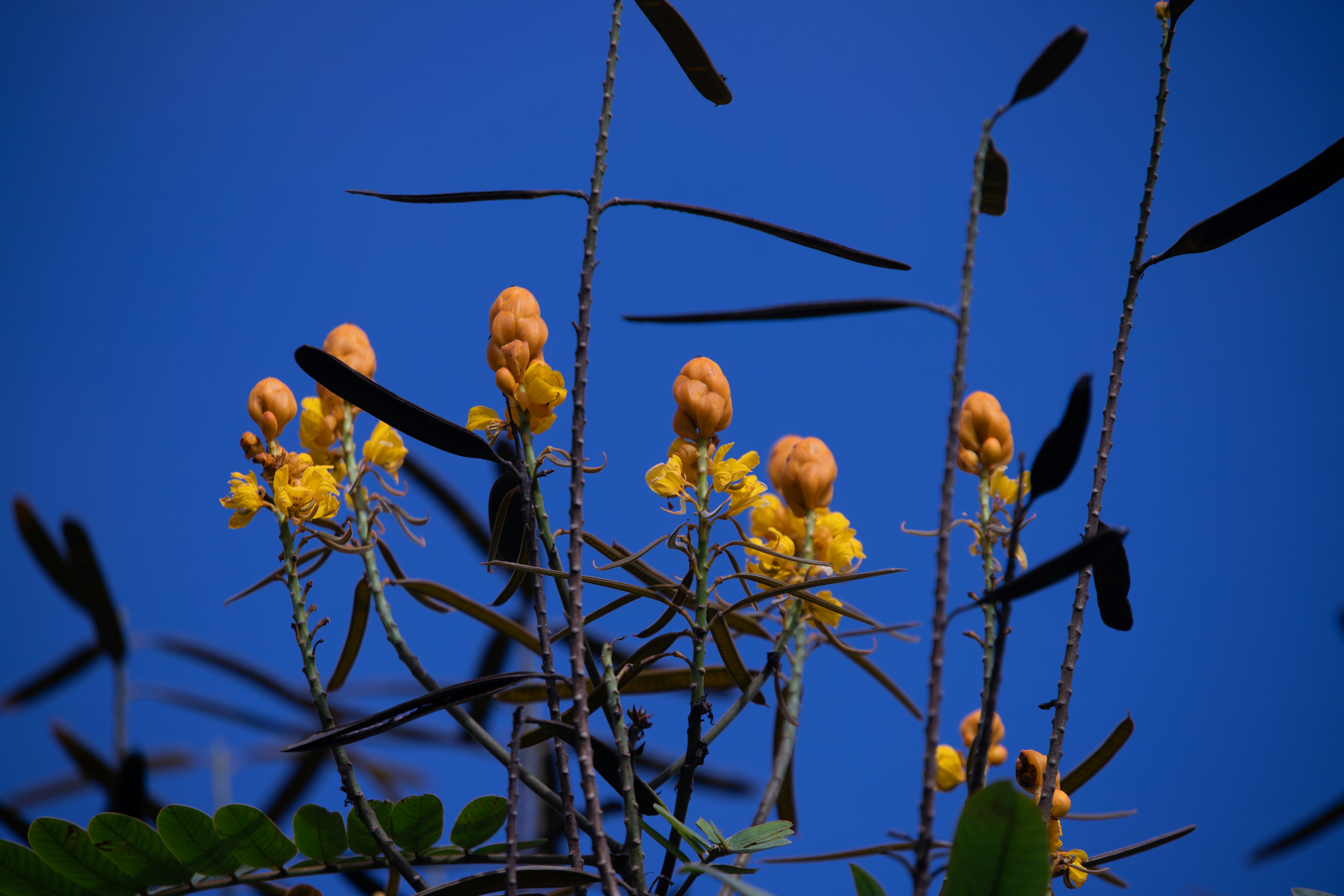 Photo by Bernd 📷 Dittrich with Canon EOS 6D Mark II