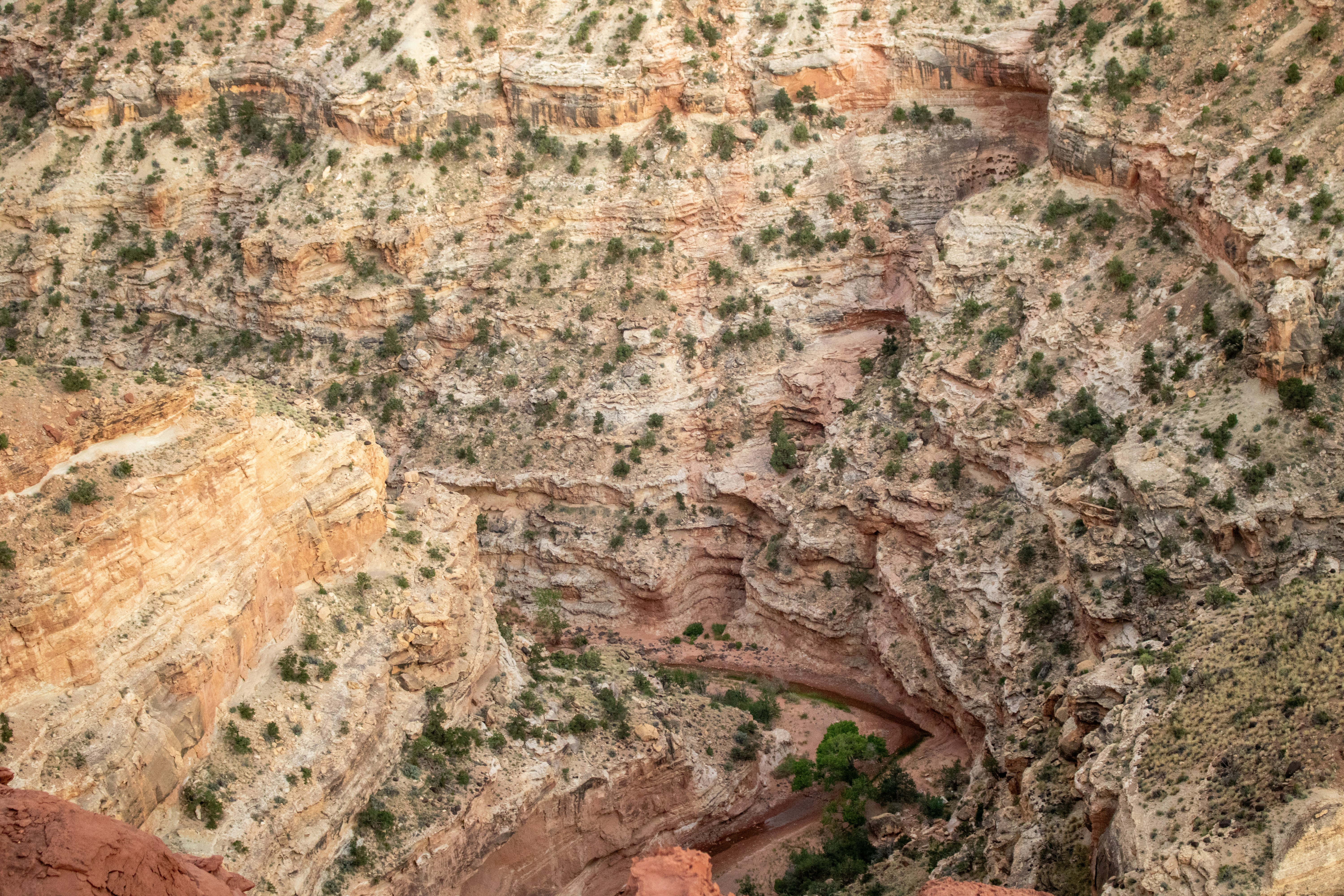 Layered Canyon Light: Echoes of Sandstone and Sky