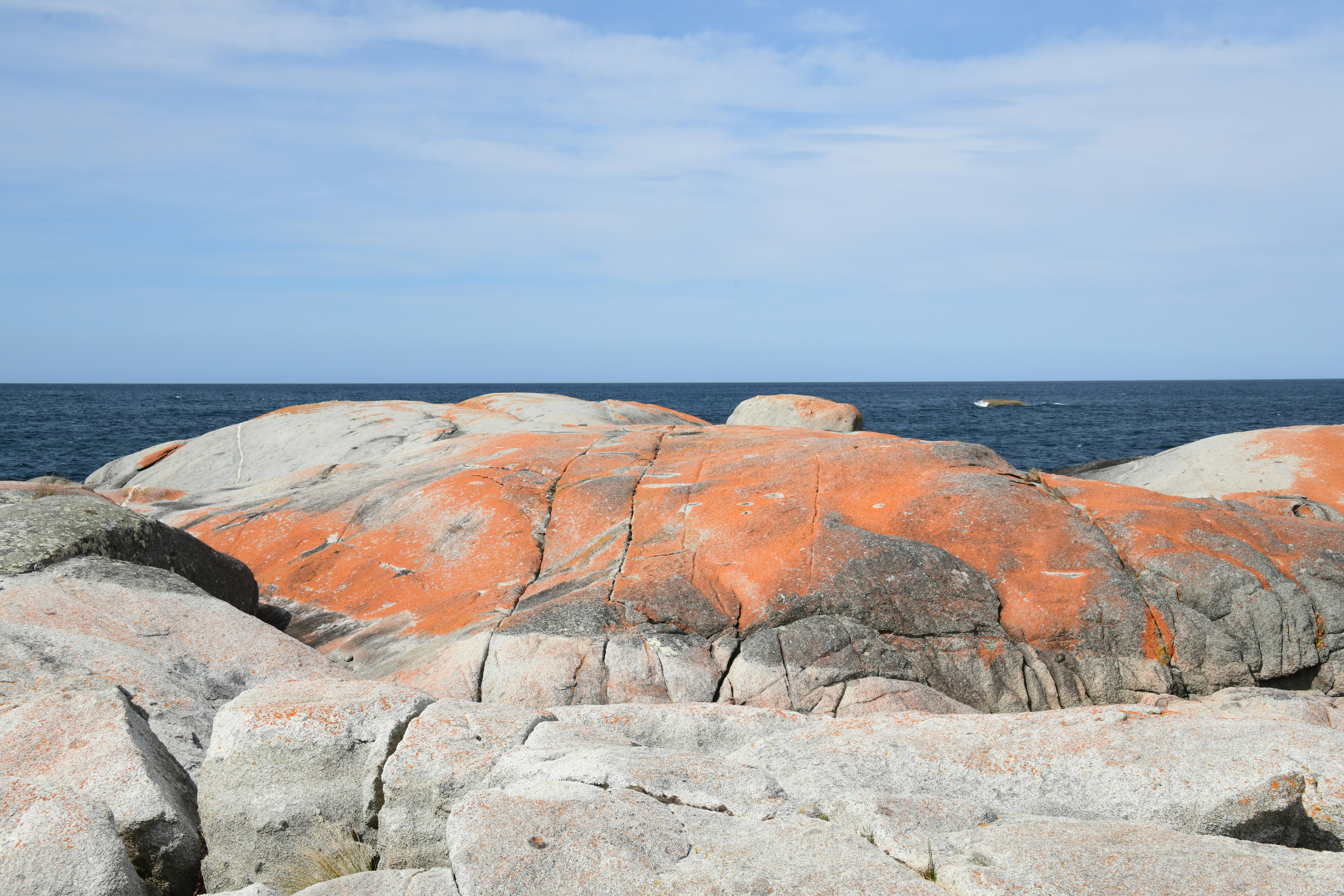 Orange Veins on Weathered Granite Seashore