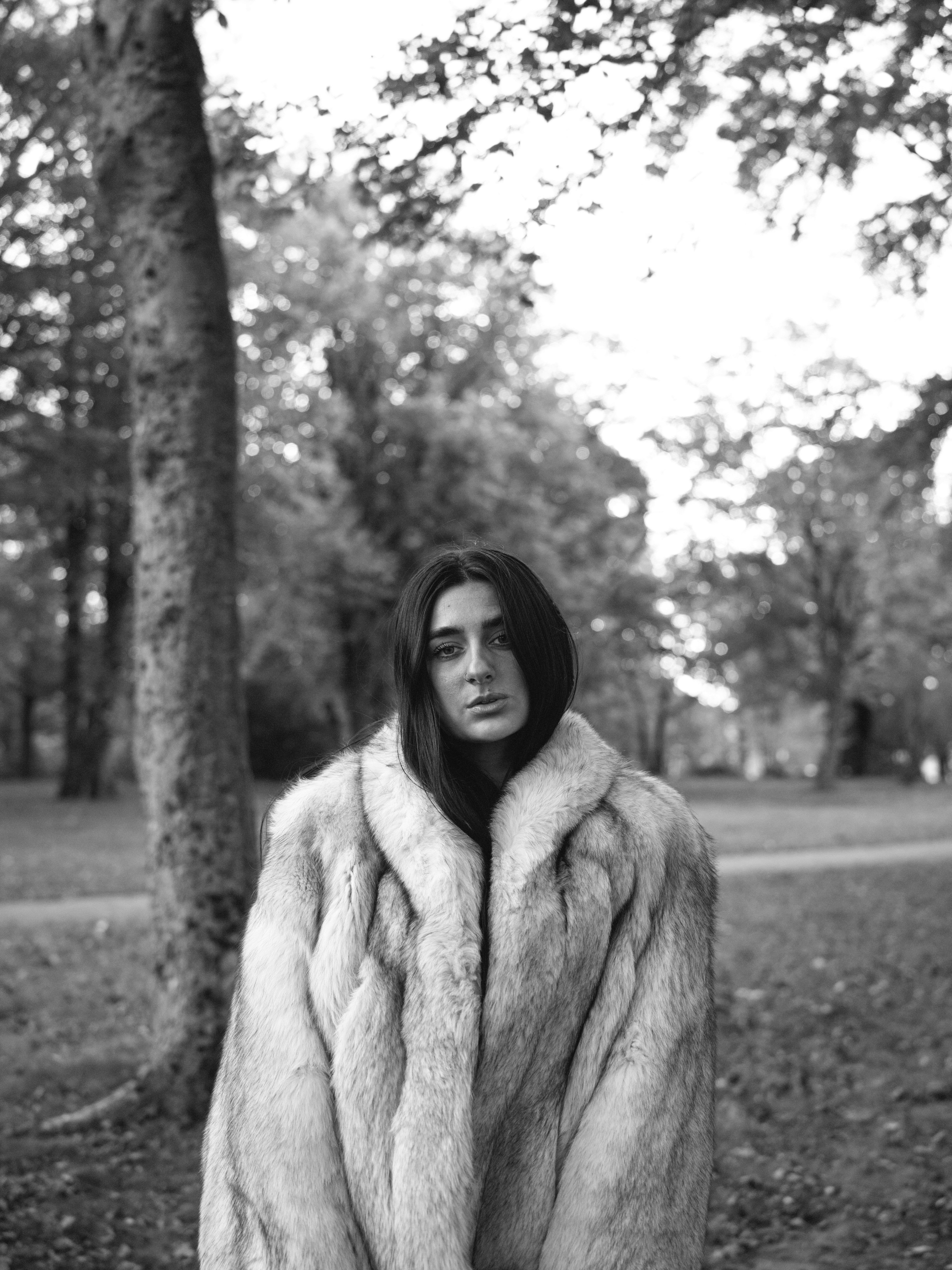 Winter Velvet: A Portrait in Quiet Gray