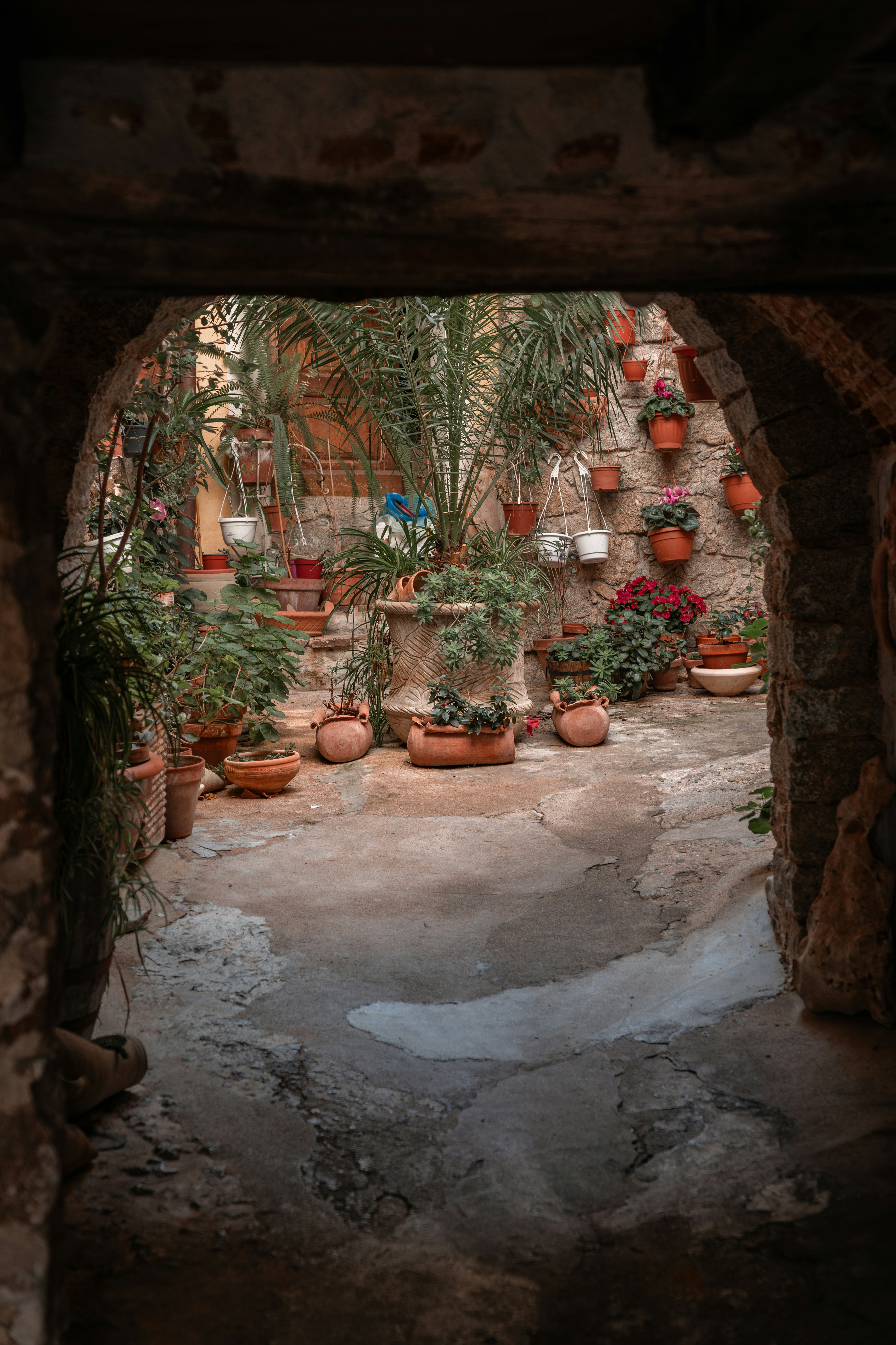 Photo by Emanuel Haas with Sony Alpha 7C