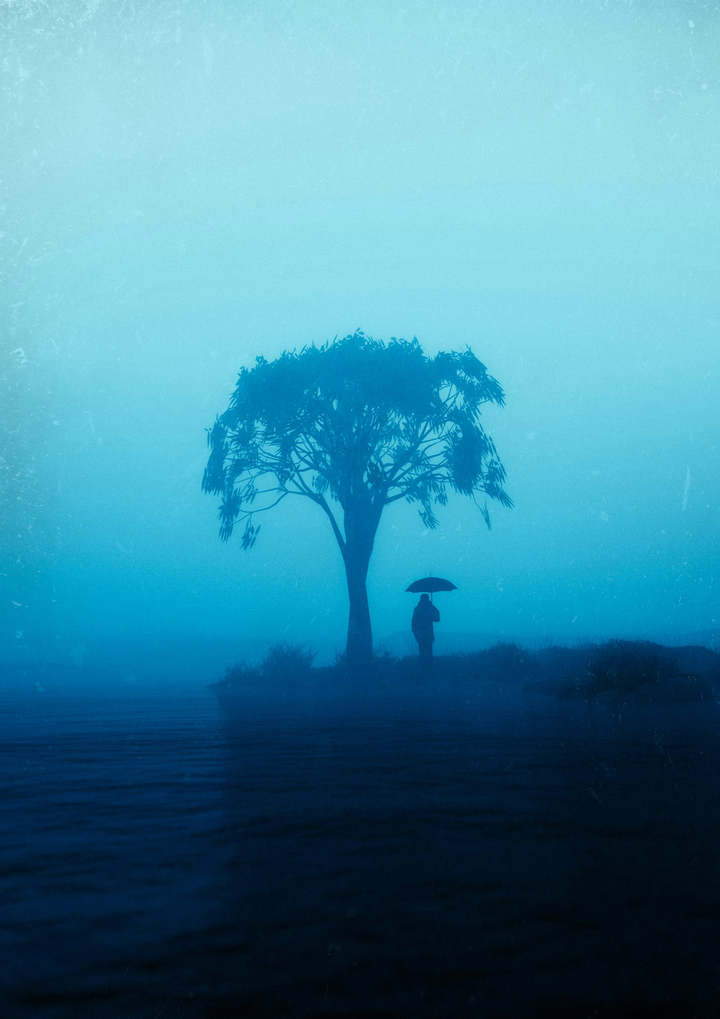A person standing under a tree with an umbrella photo – Free Digital ...