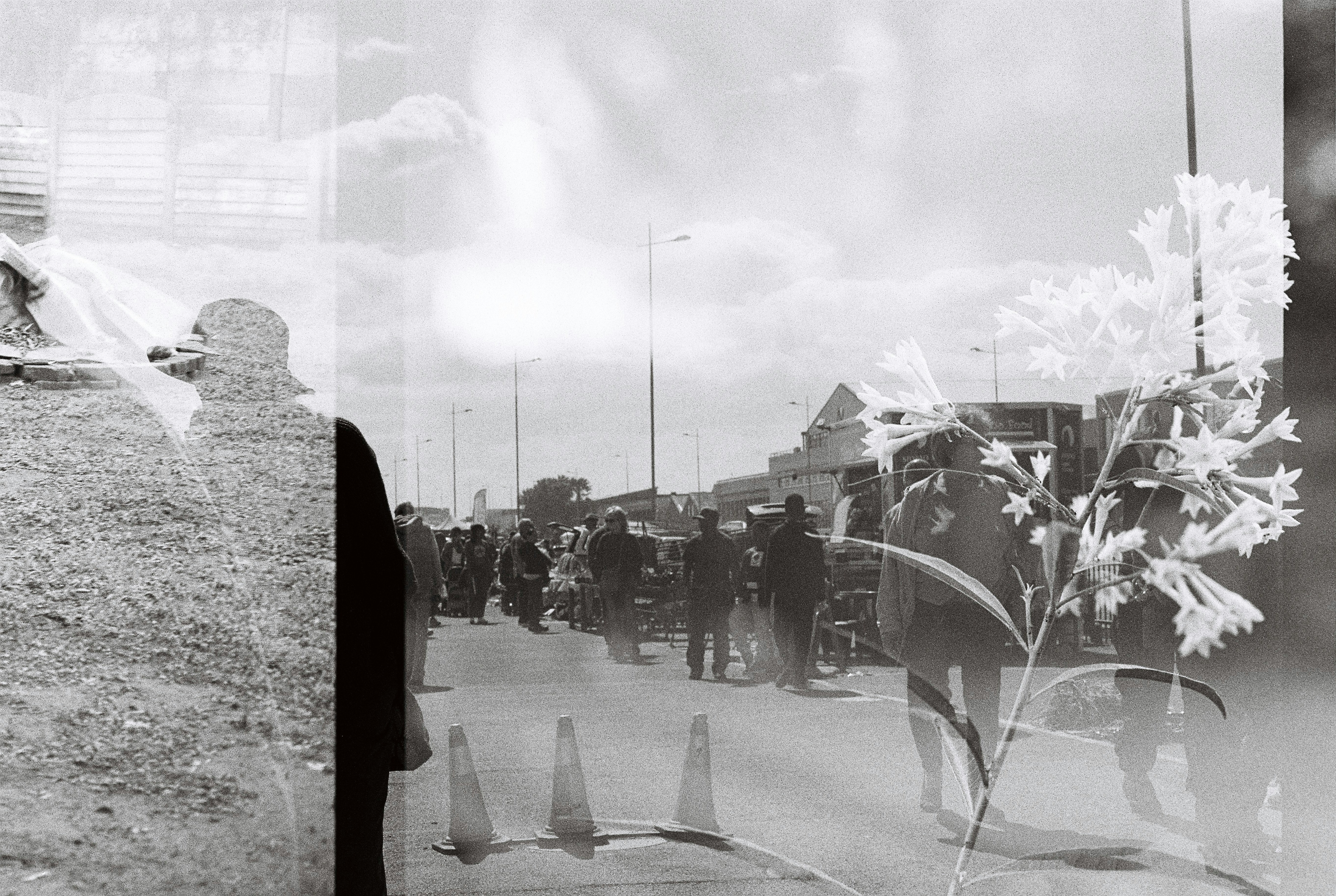 Monochrome Confluence: A Crowded Street Scene Intertwined with a Delicate Floral Overlay