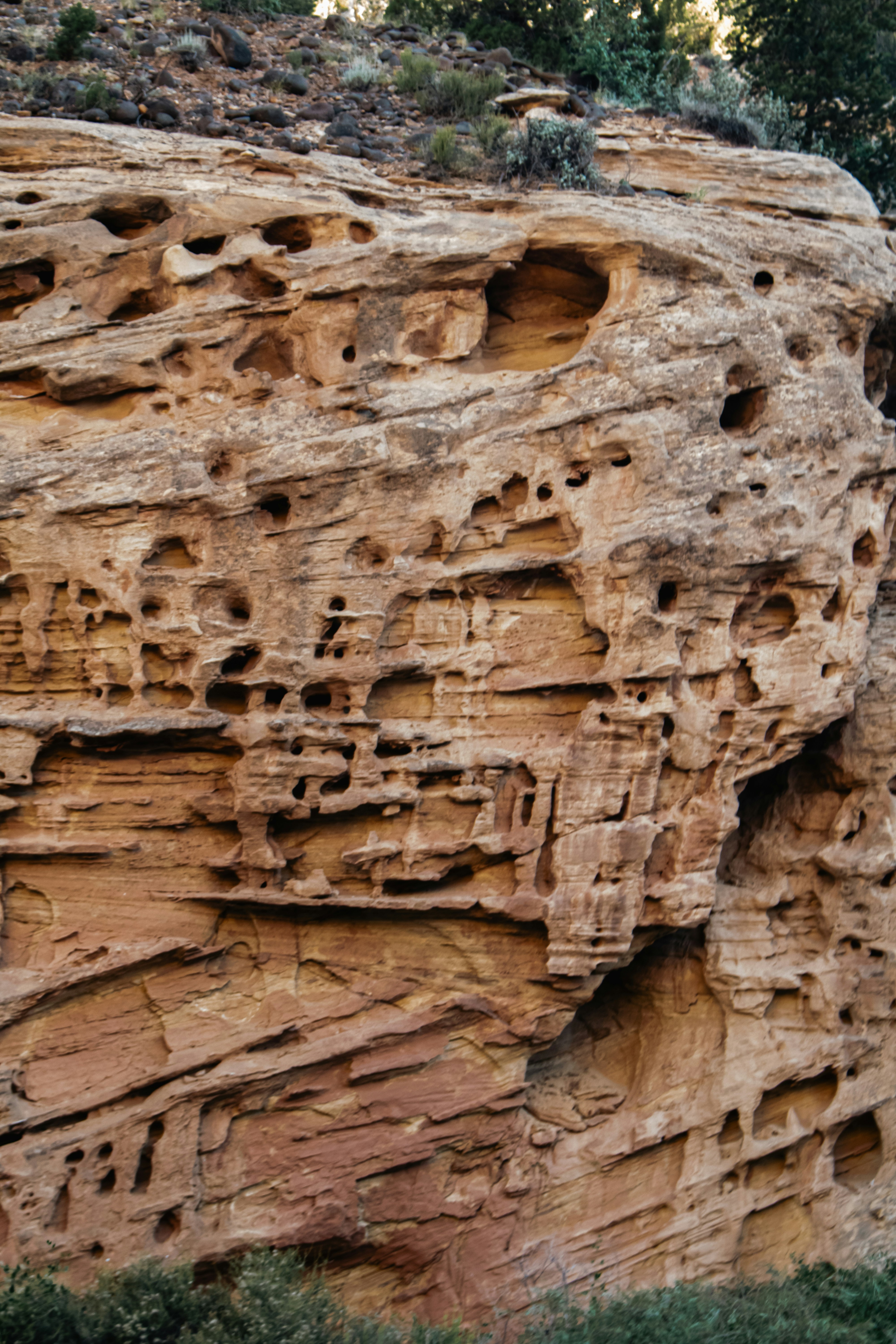 Honeycomb Erosion on a Sunlit Cliff: A Texture Portrait of Sandstone