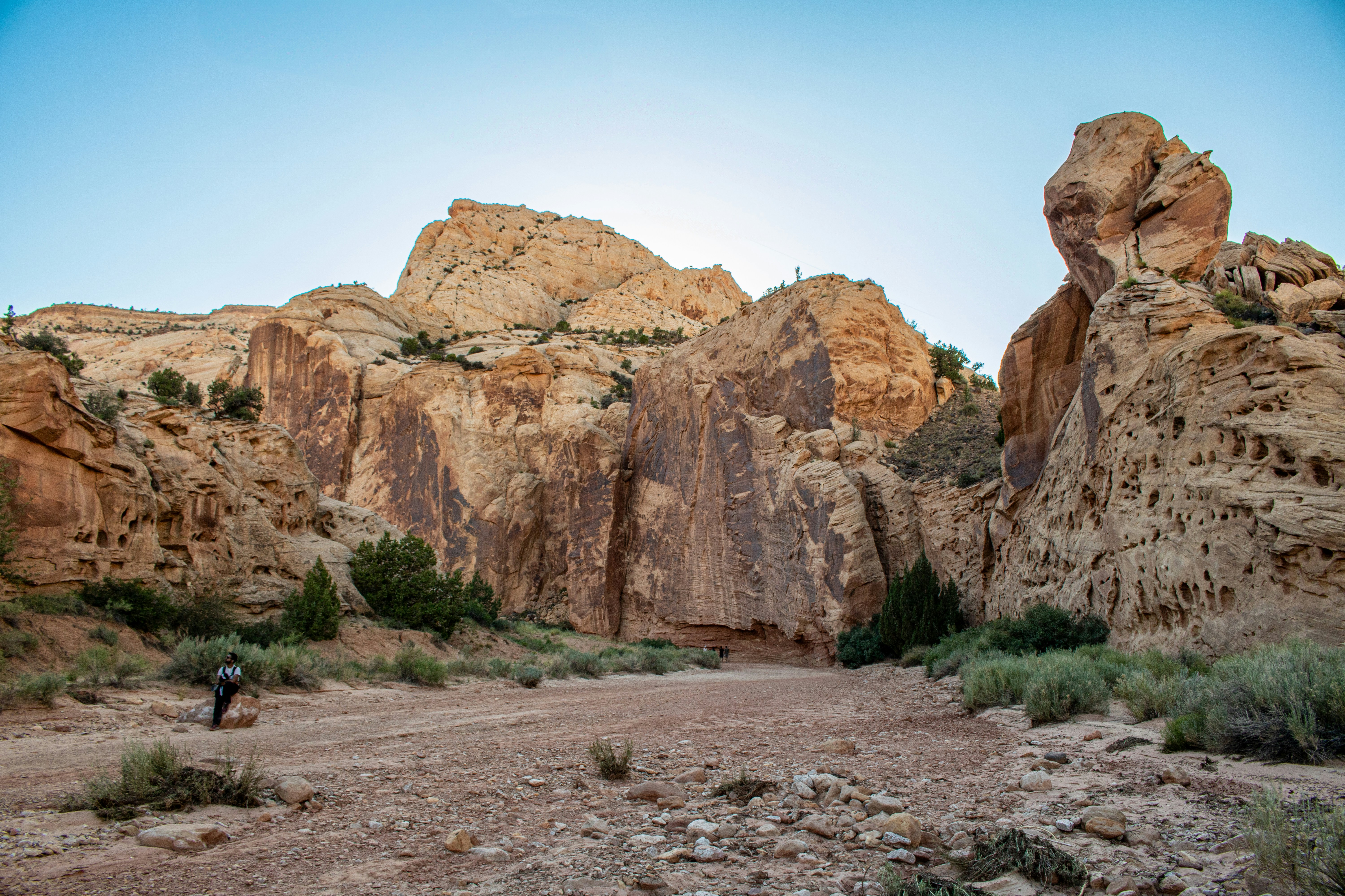 Grand Wash in Capitol Reef National Park is a scenic and dramatic canyon carved through towering cliffs of sandstone. Known for its narrow, winding passages and massive rock walls, Grand Wash offers hikers an immersive experience within Capitol Reef’s geological formations. The canyon walls are dotted with natural holes and alcoves, created by centuries of erosion, adding to its unique landscape. The trail follows the dry wash bed, leading visitors through narrows that showcase layers of sedimentary rock, revealing millions of years of geological history and tectonic activity.
