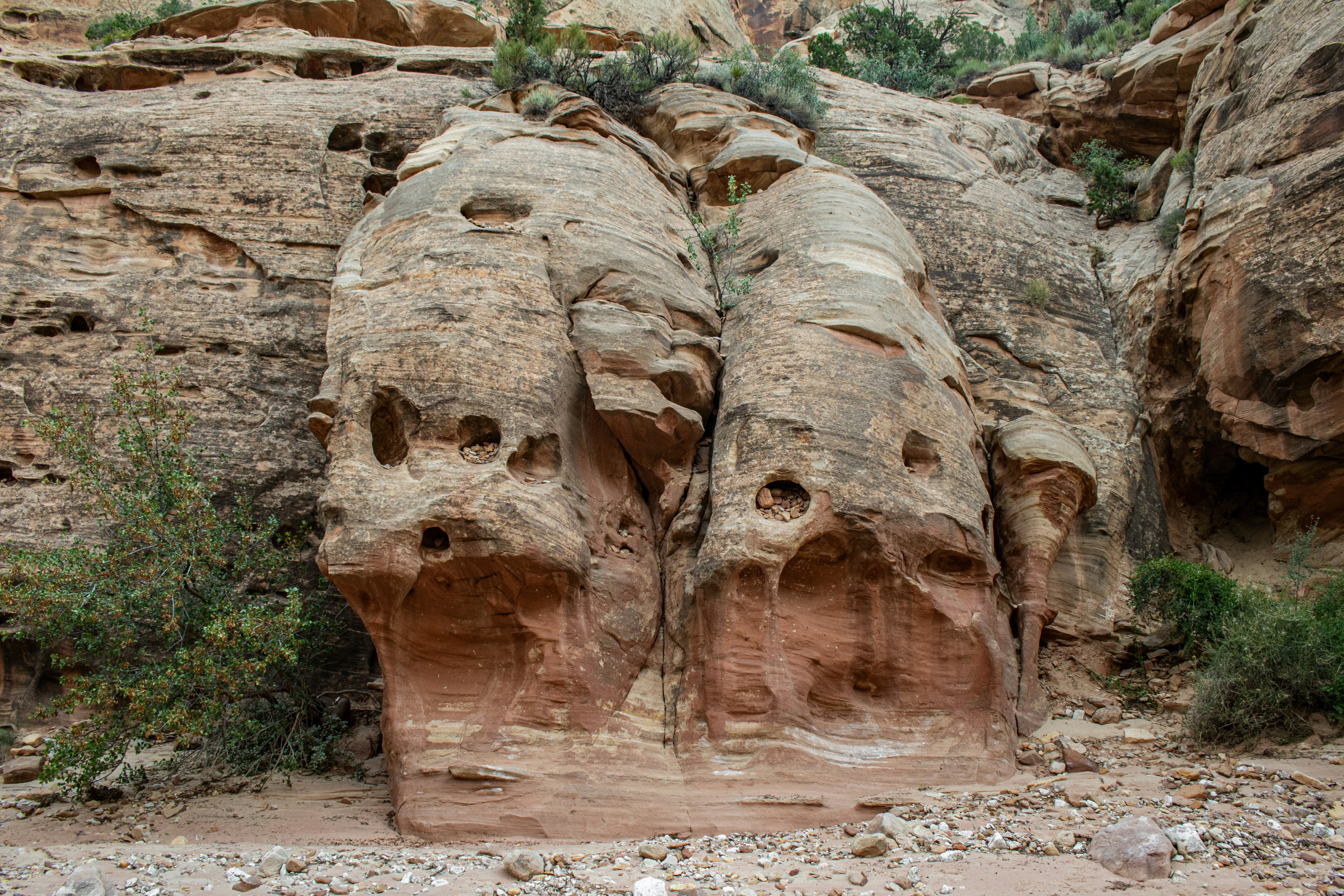 Wind-carved Honeycomb Cavities in a Red Sandstone Cliff