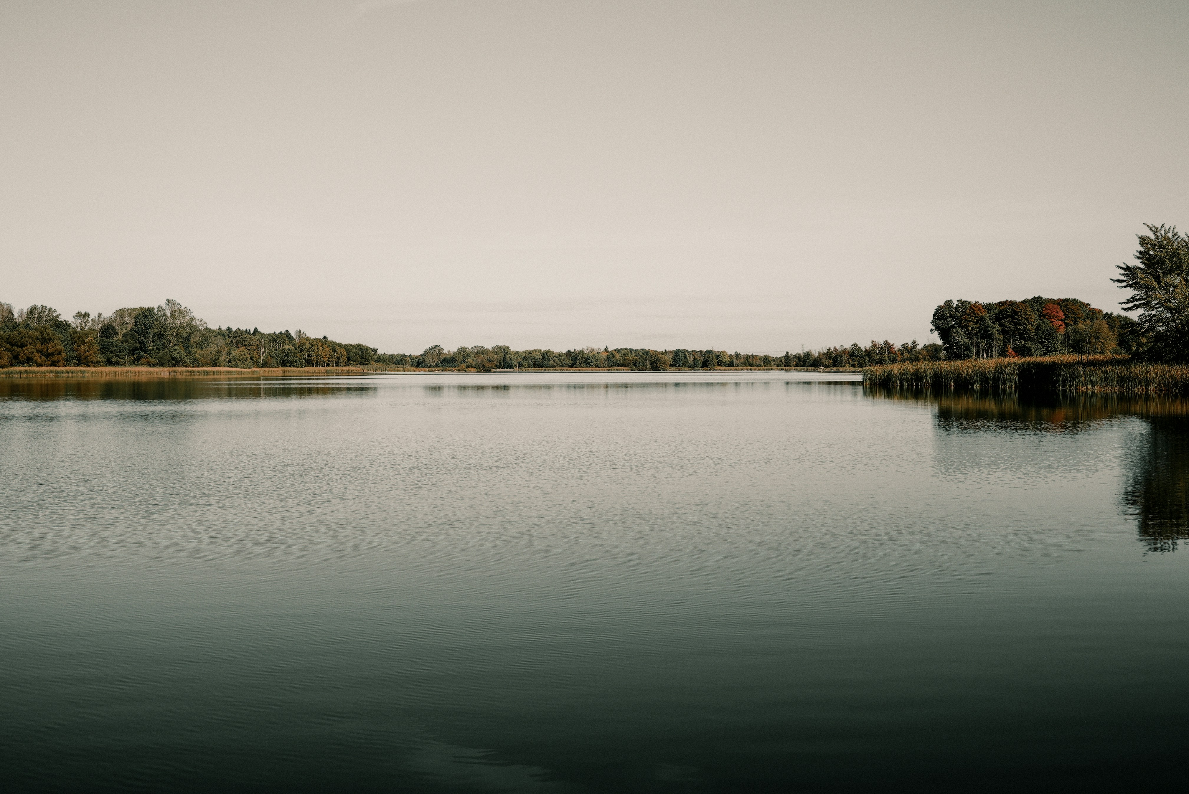 Sample photo from Sony ZV-E1