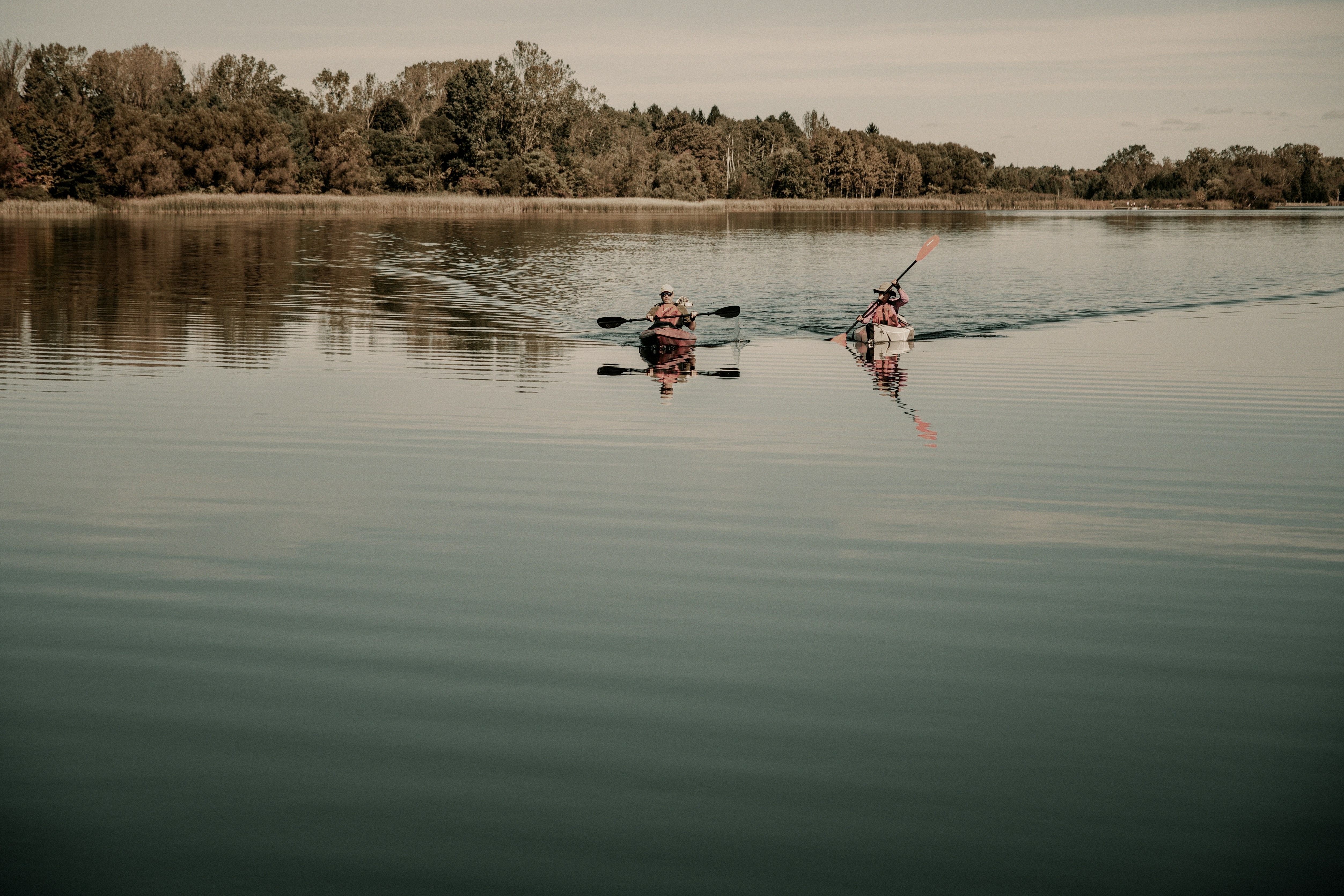 Two kayakers glide across a tranquil lake, surrounded by autumn foliage reflecting on the water's surface.