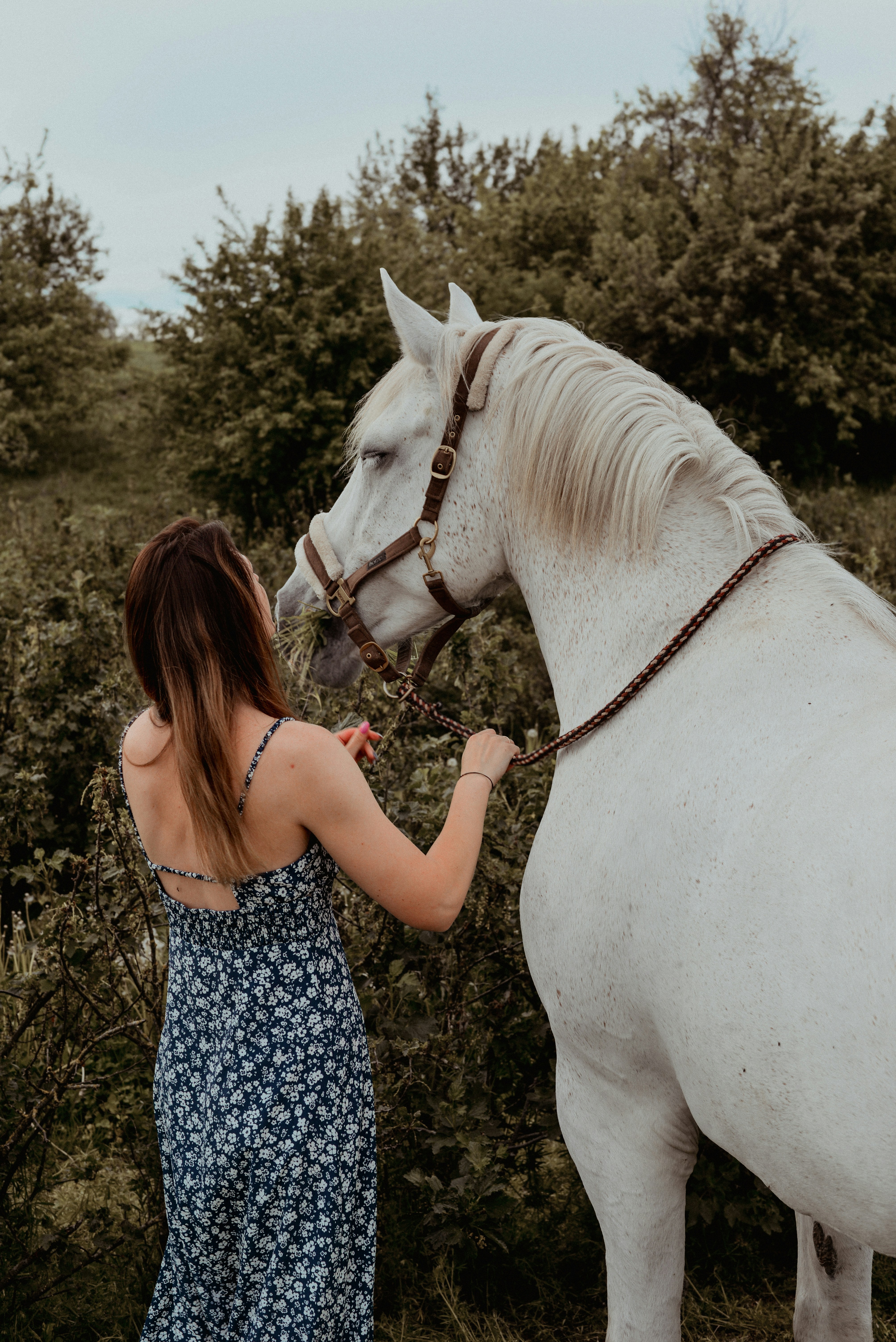 Quiet Trust: A Woman and a White Horse Share a Moment in the Field
