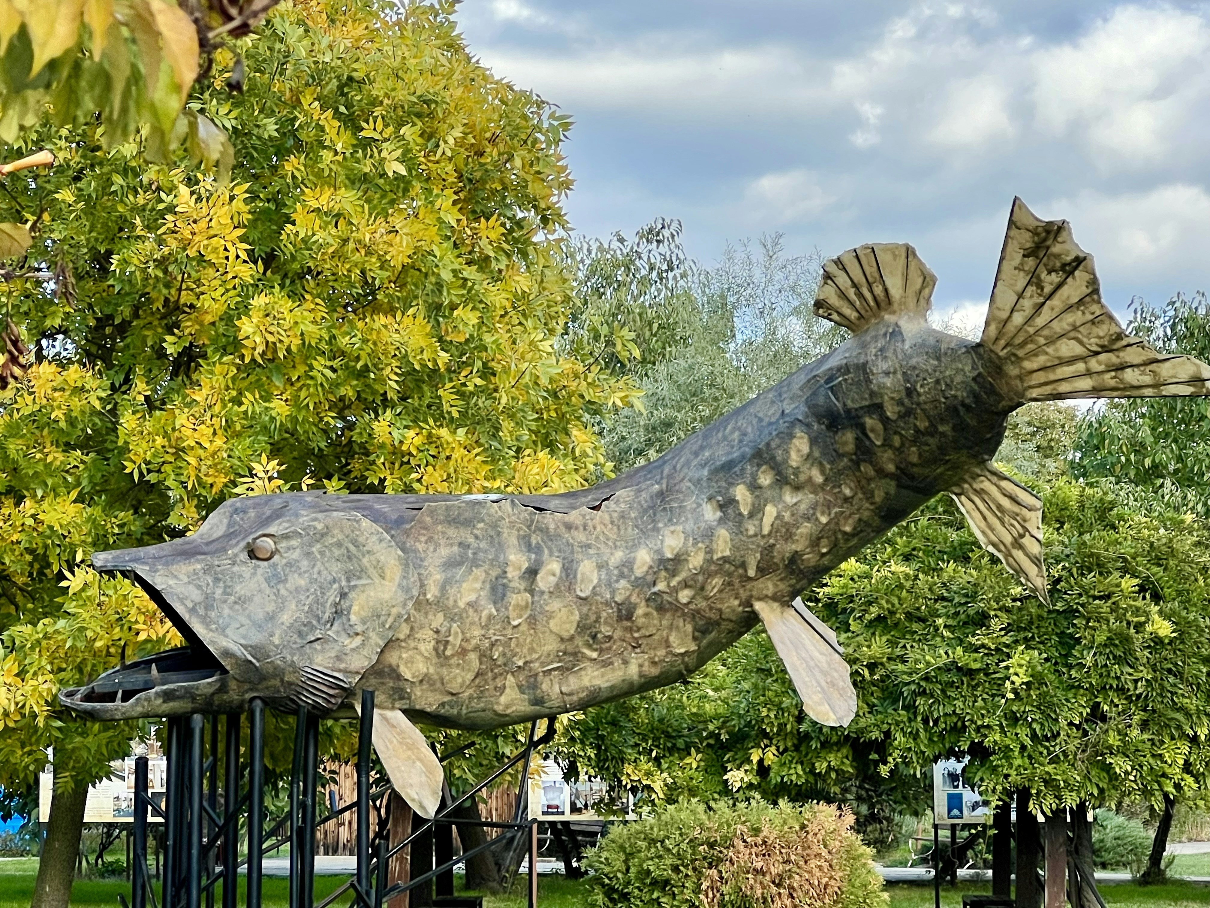 A statue of a fish in a park photo – Free Travel Image on Unsplash