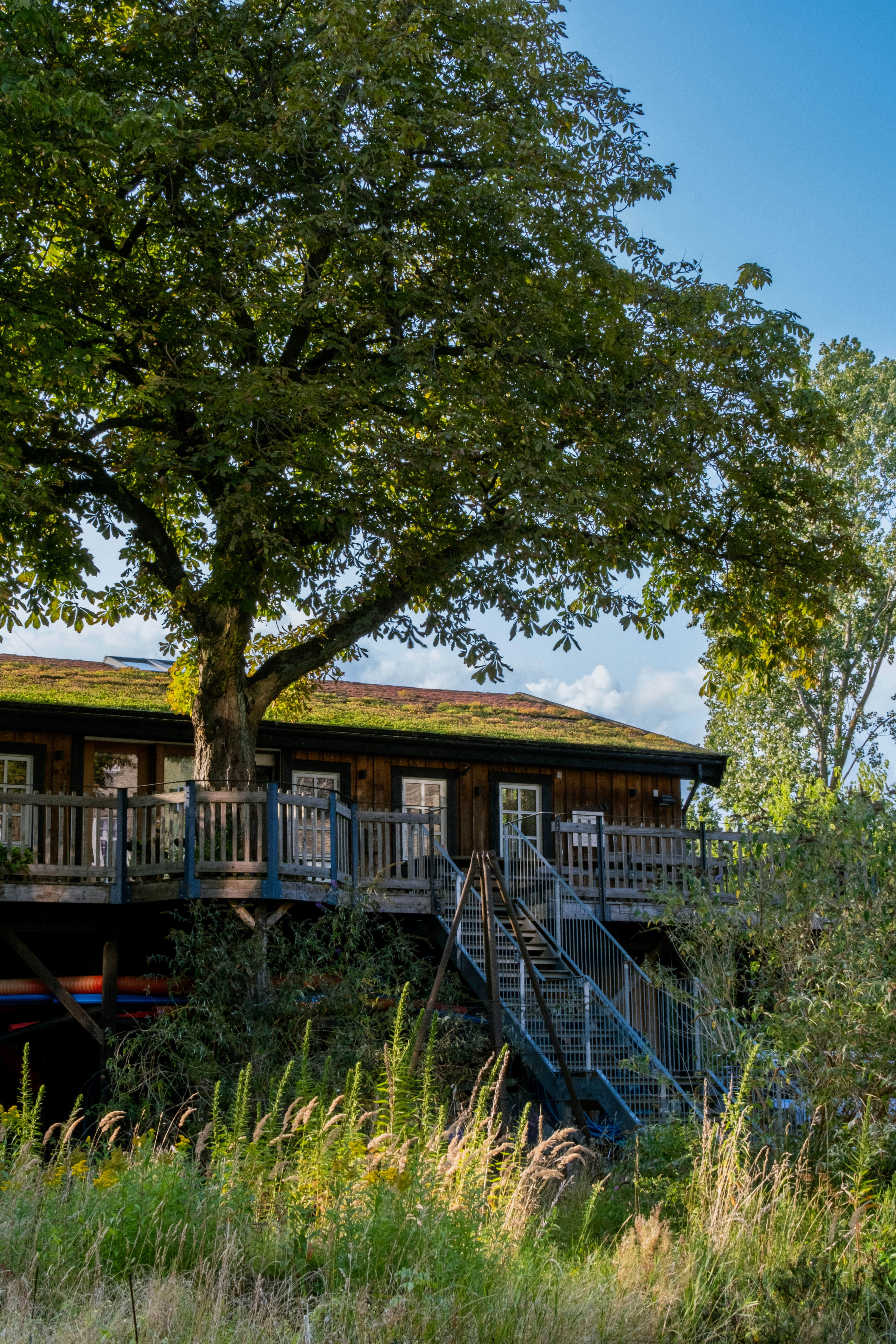 Photo by Julia Oberhauser with Fujifilm X-S10