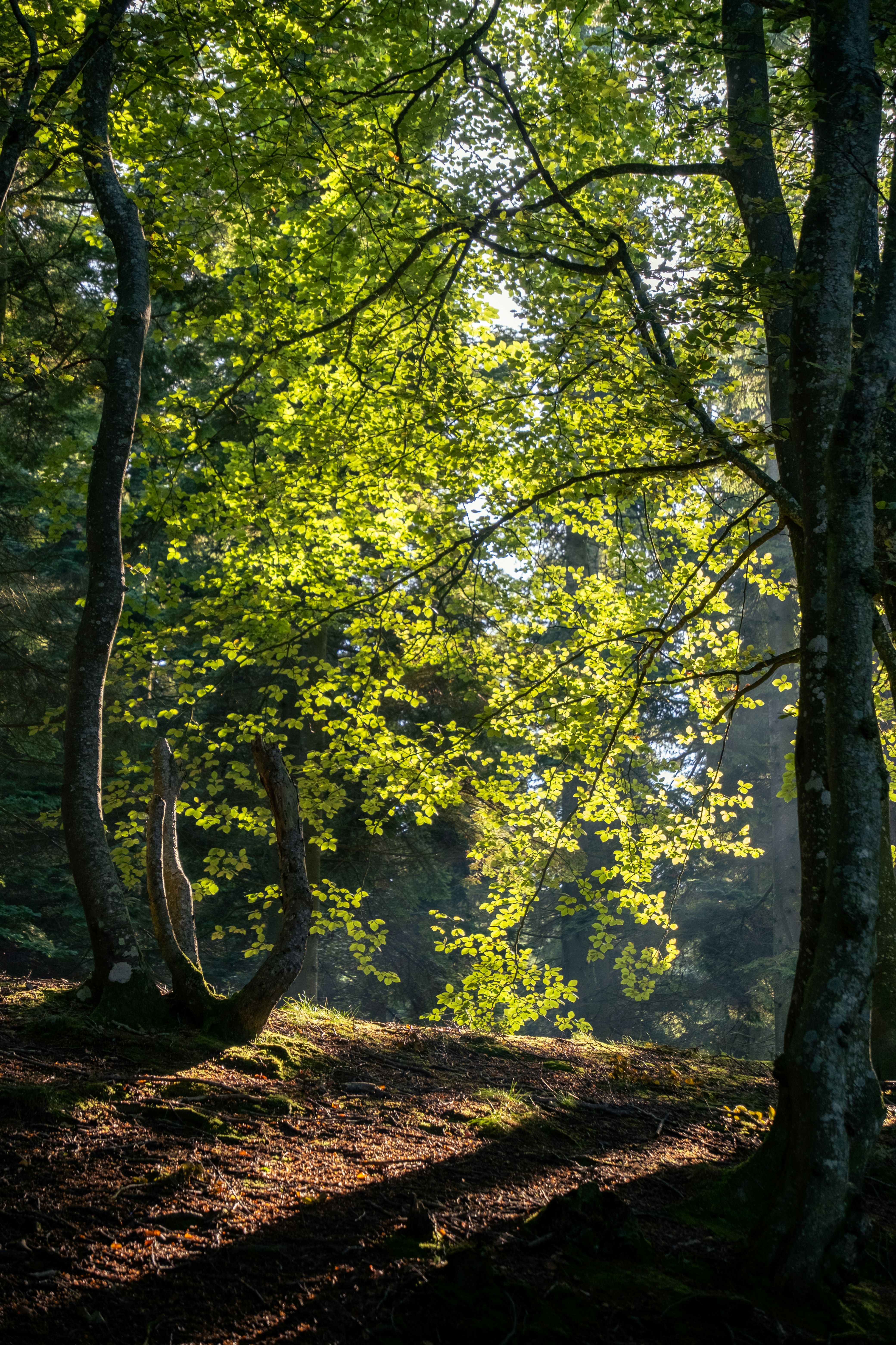 Photo by Julia Oberhauser with Fujifilm X-S10