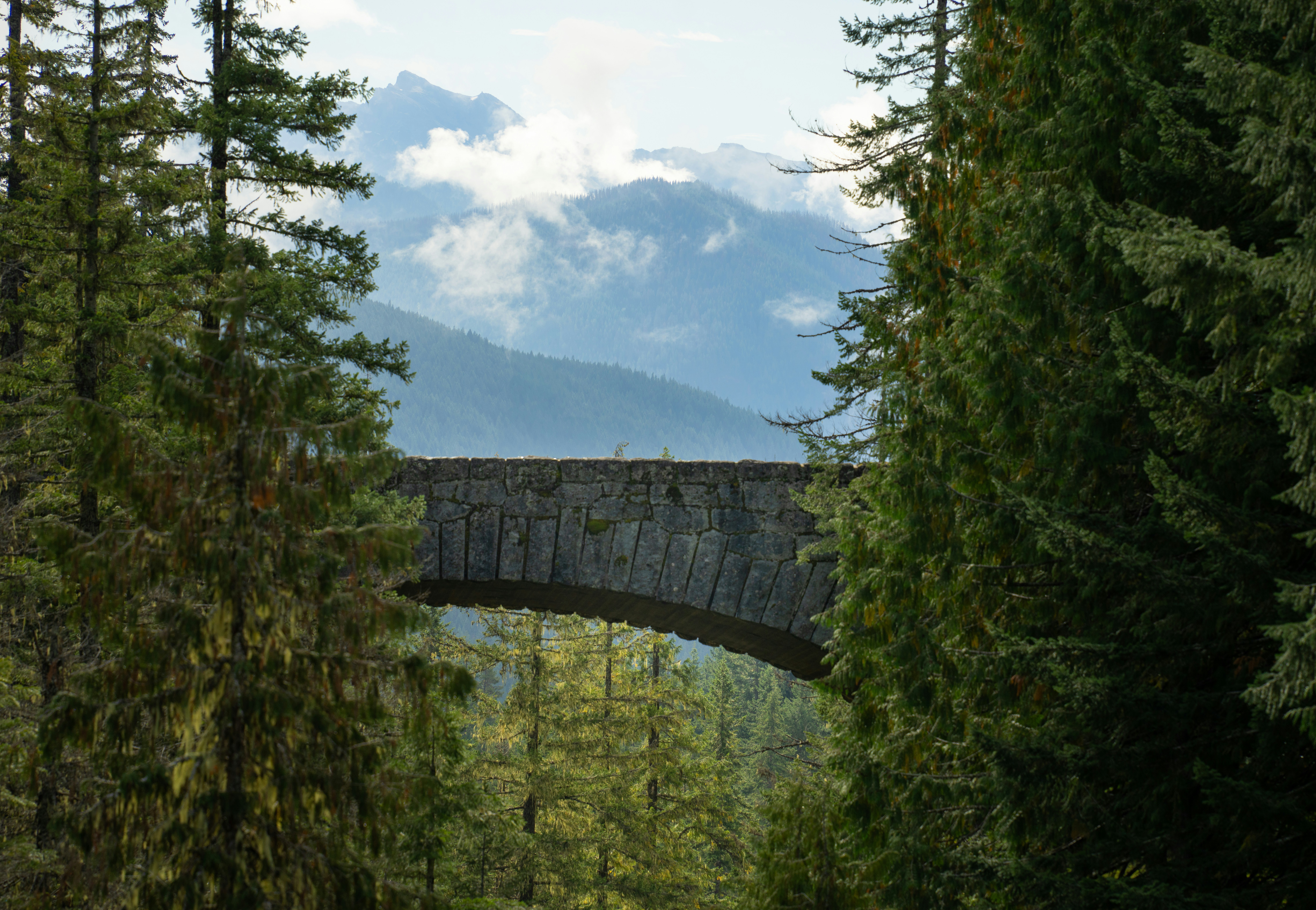 A bridge over a forest with a mountain in the background photo – Free ...