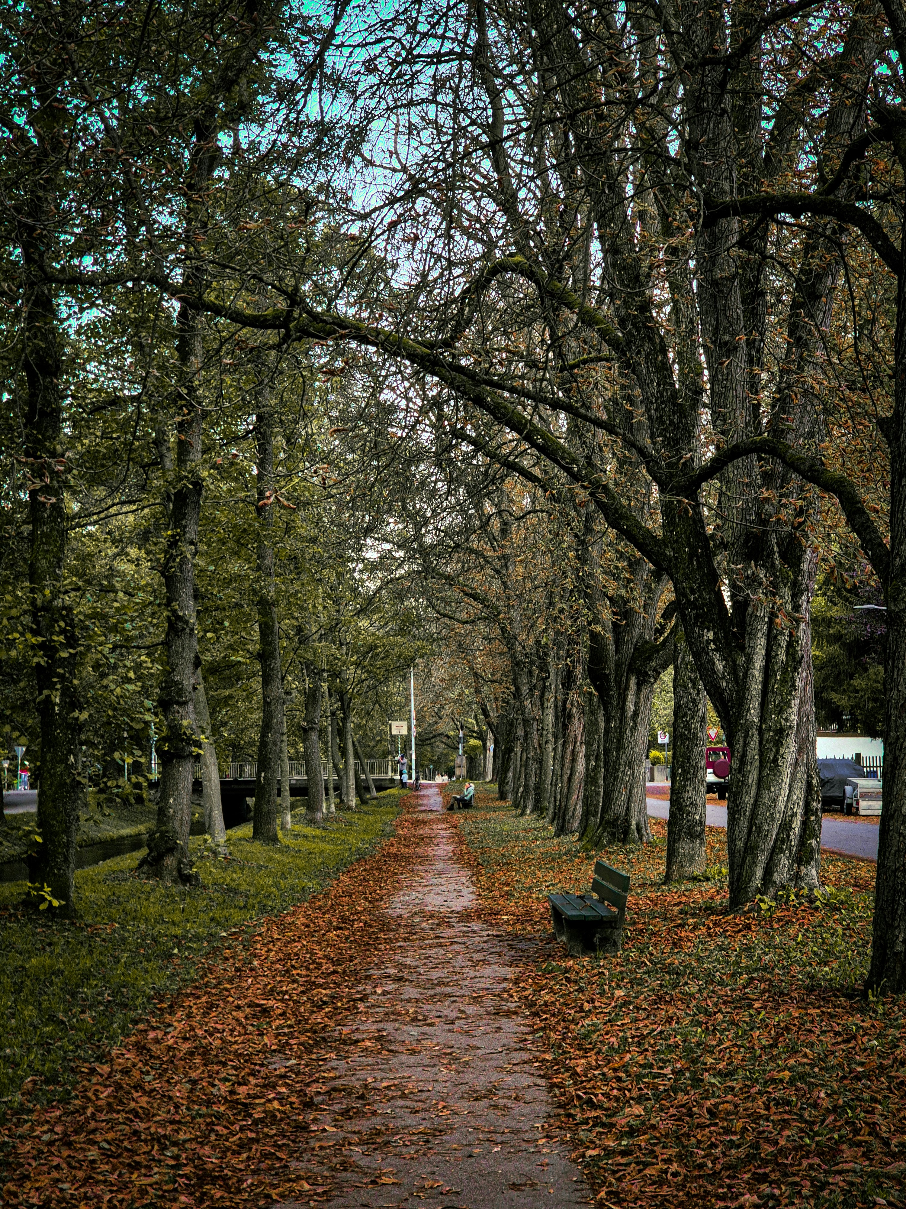 Vanishing Lane of Autumn Leaves