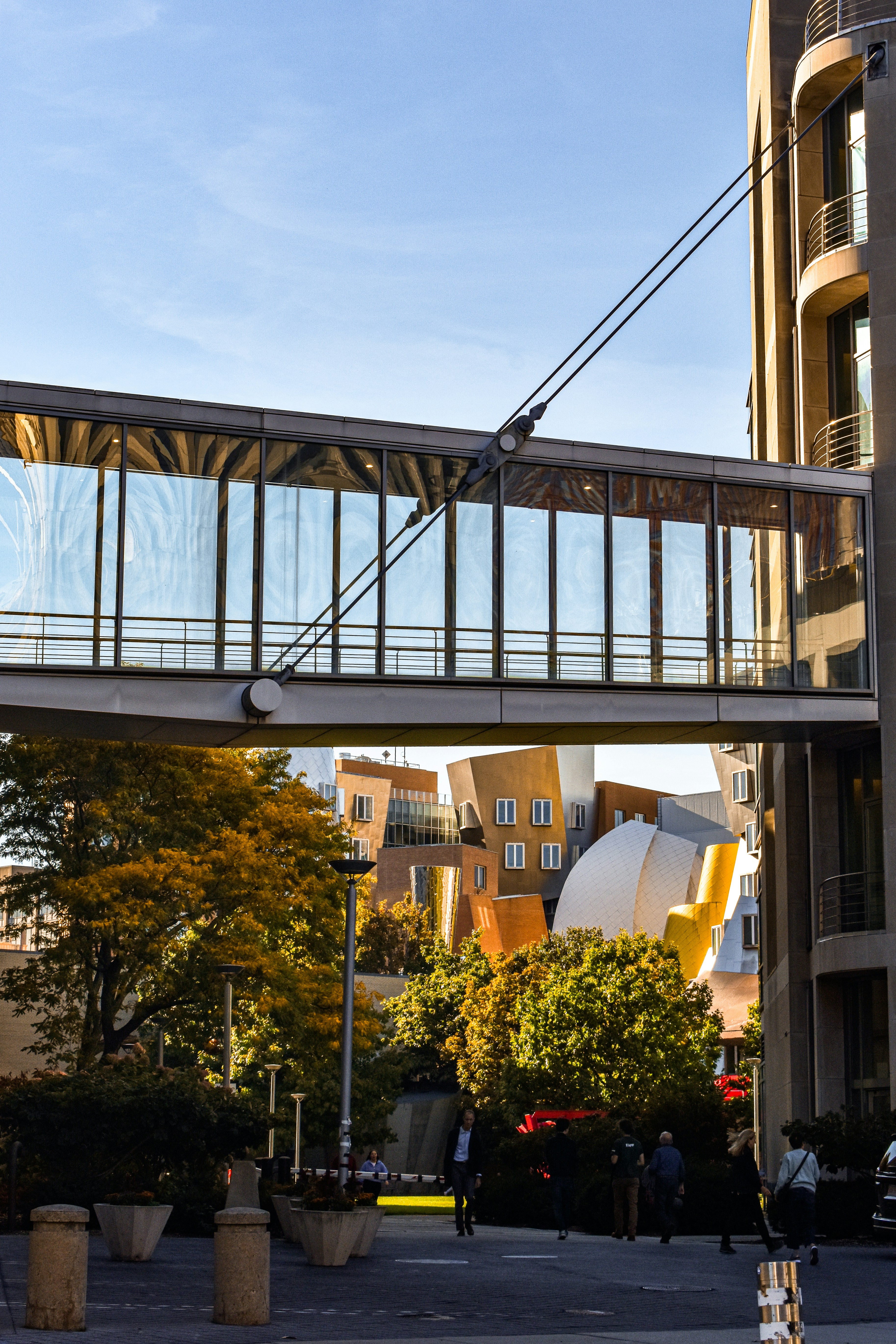 Urban Skywalk Over a Tapestry of Modern Architecture