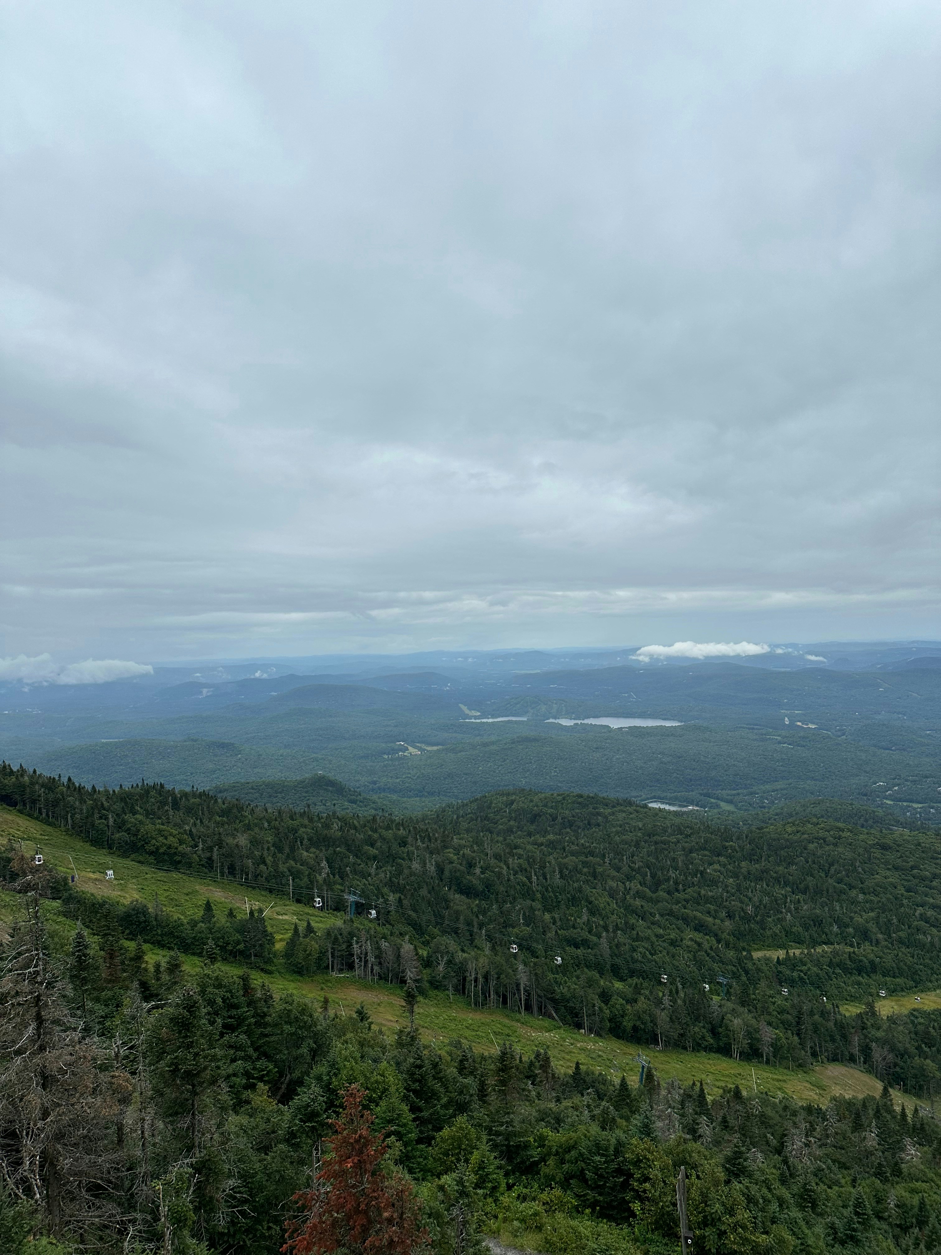 Mist-Swept Ridge Over a Verdant Valley