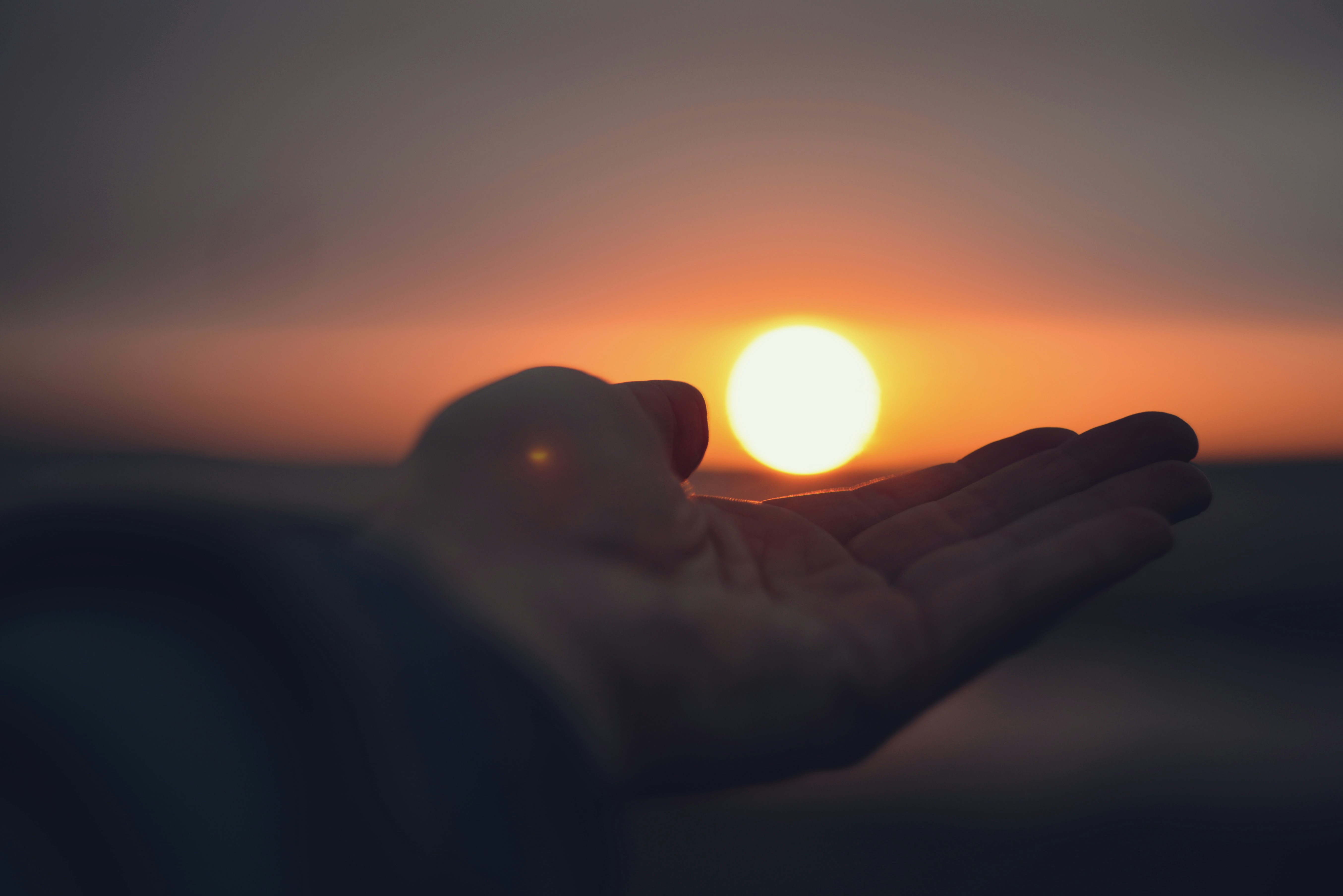 Une personne qui tend la main vers le soleil photo – Image gratuite de ...