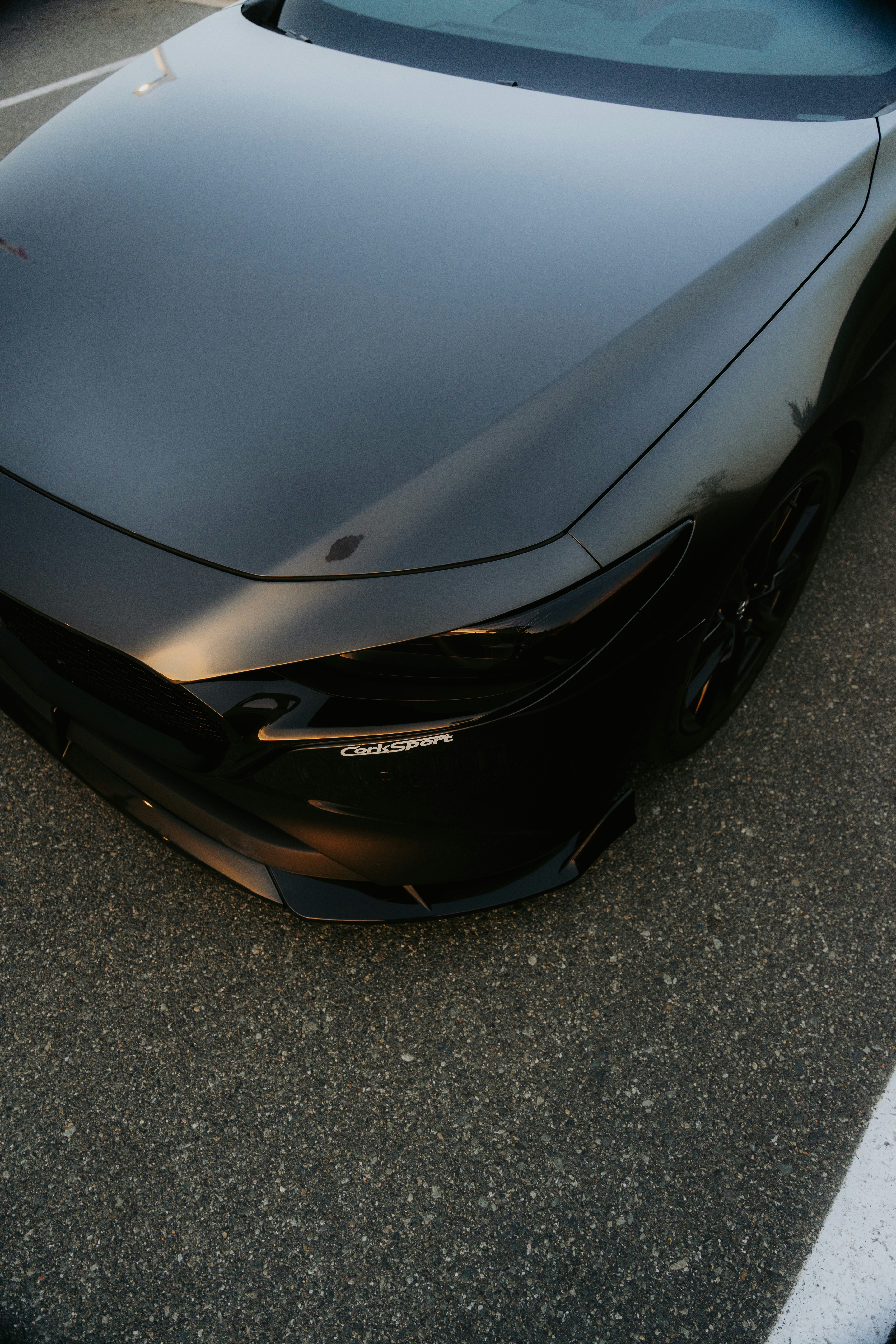 Midnight Mirage: The Contoured Hood of a Sleek Black Sports Car