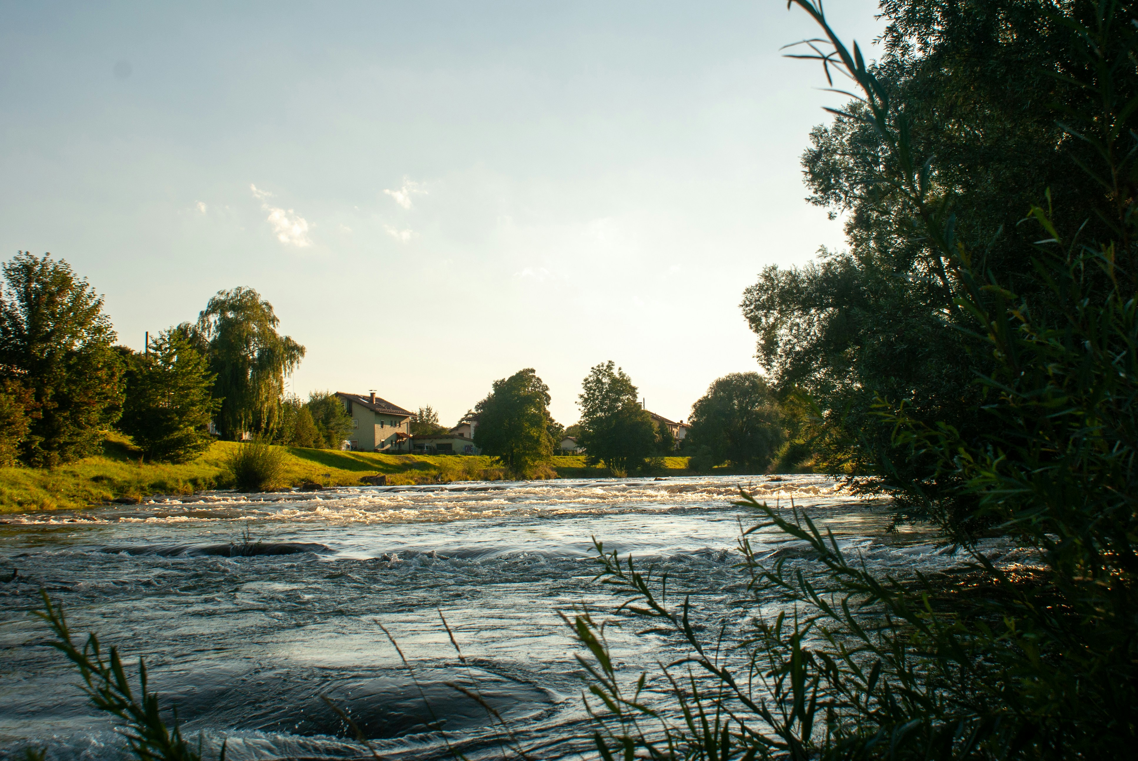 This picture shows a peaceful river scene in the early evening, with golden sunlight flooding the landscape. In the center flows a calm river with gentle rapids and reflections on its surface. The river is flanked by trees and bushes that frame the scene from both sides. In the background are a few houses surrounded by lush greenery, creating a rural, tranquil atmosphere. The sky is mostly clear, and the soft sunlight illuminates the trees and houses, creating a warm, inviting mood. | A river running through a lush green forest